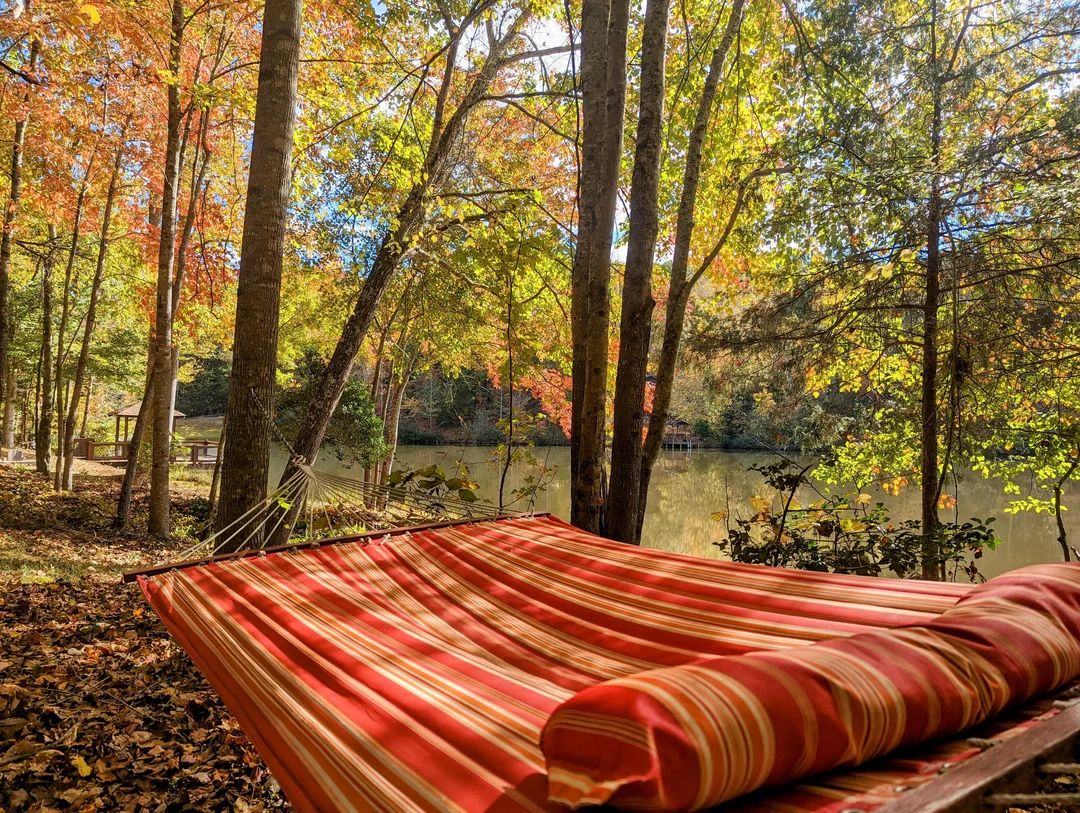 My cozy hammock hideaway in the woods. I'm a simple person. | Scrolller