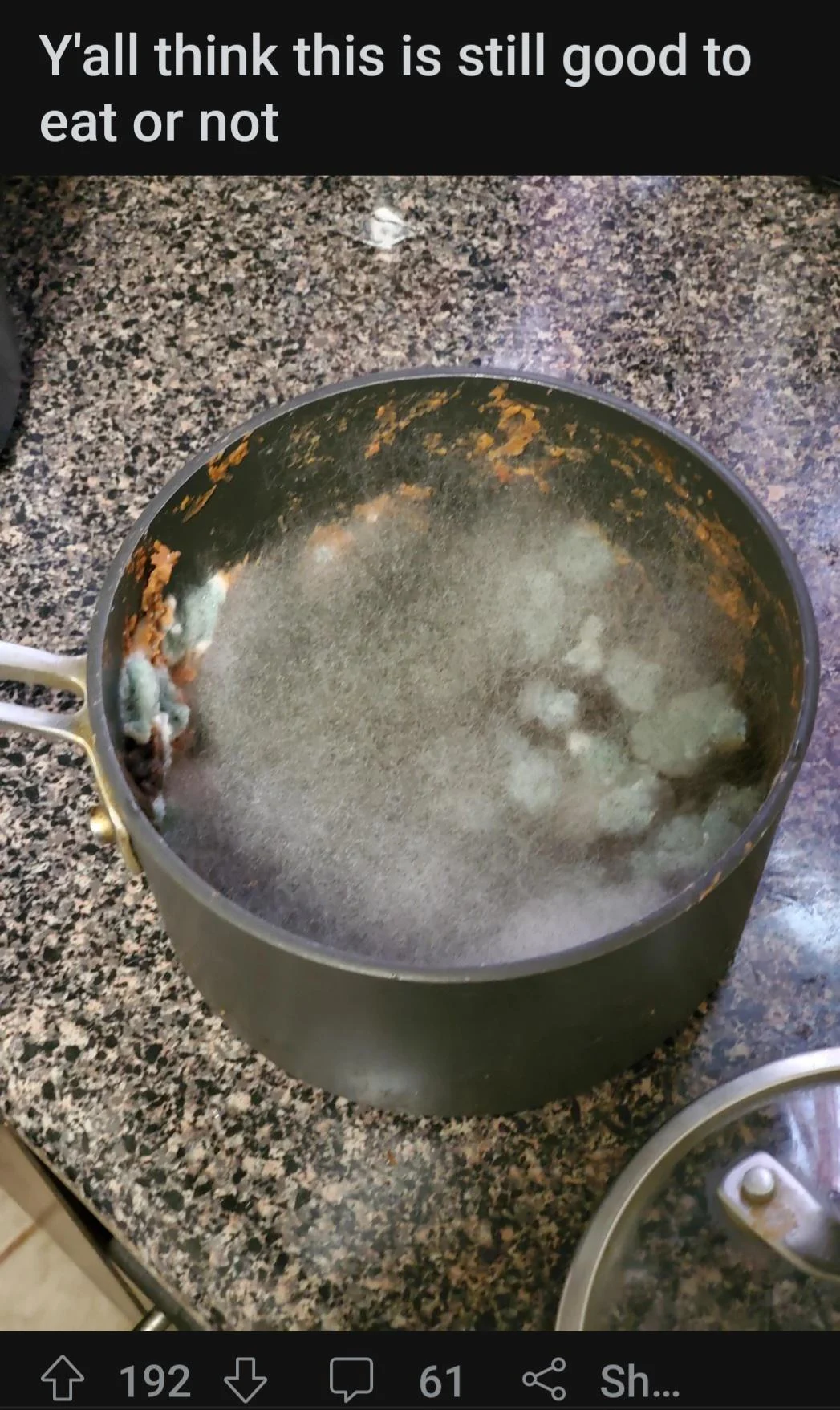 Moldy rule | Scrolller