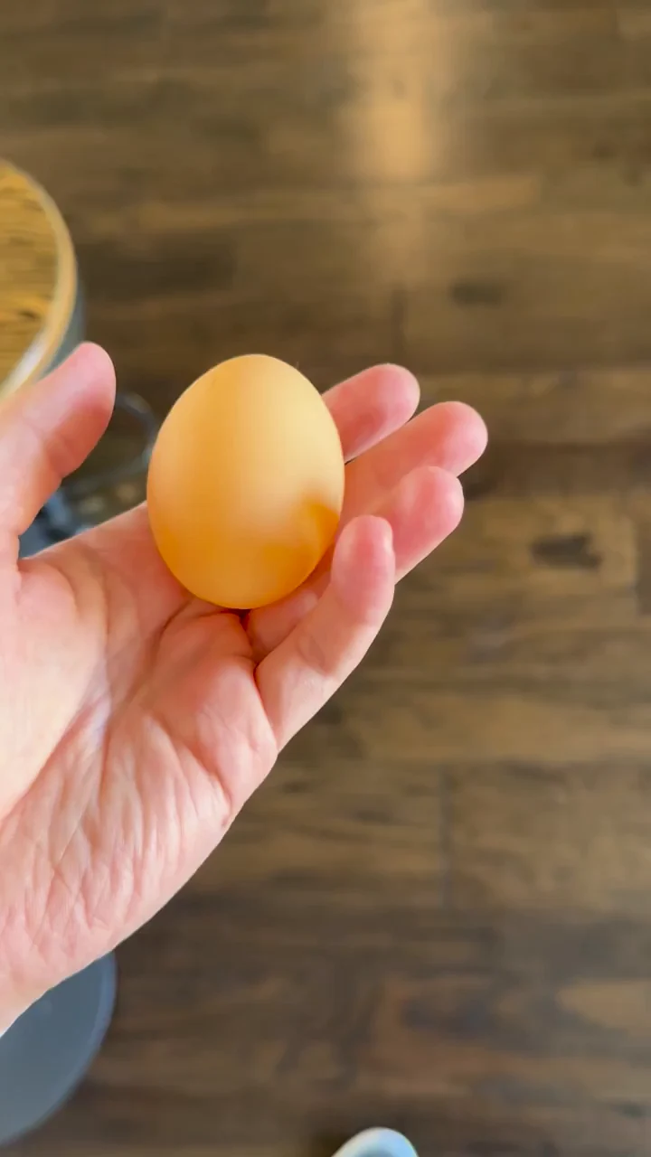 One of our chickens laid an egg with no shell… | Scrolller