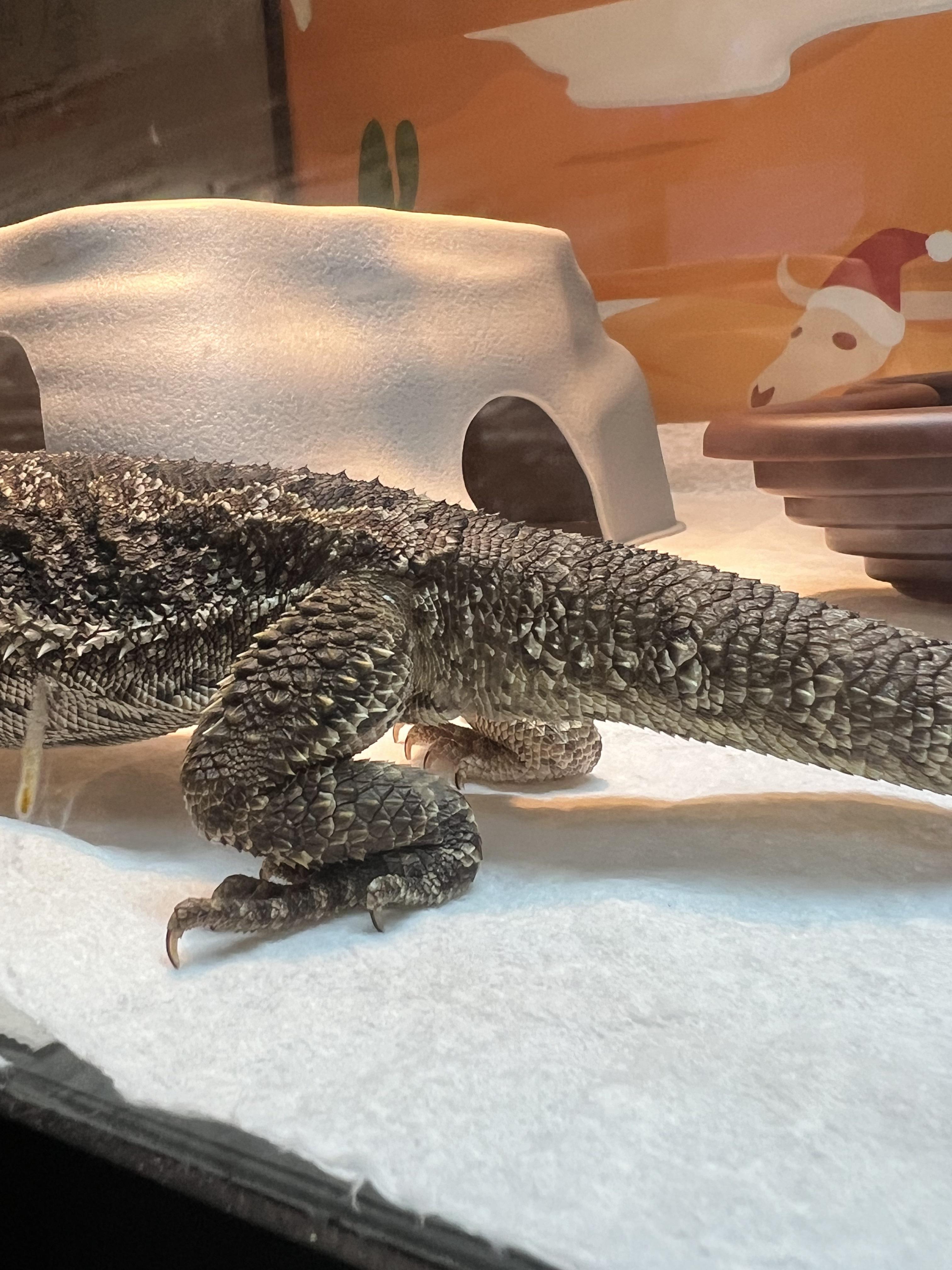 Is this normal? | Scrolller