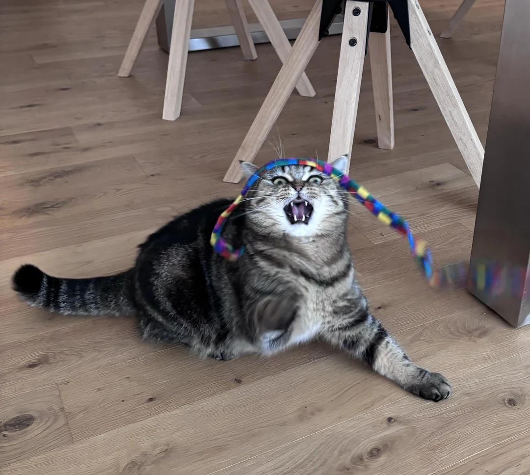 My boy being a derp with his toy | Scrolller