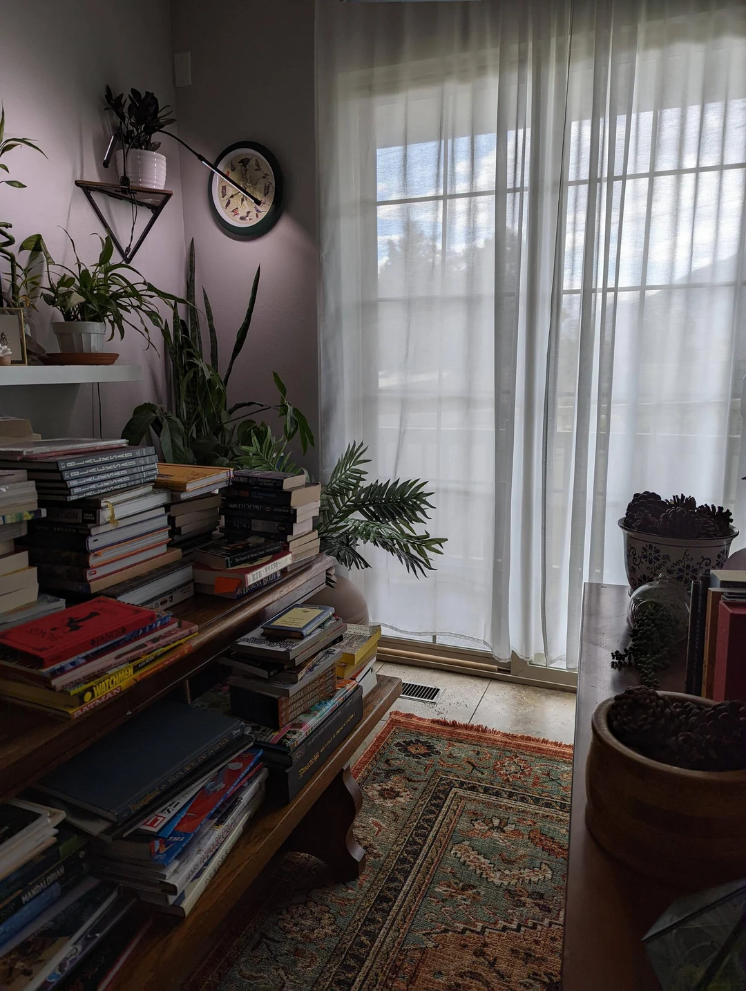 Trying to organize, just sat on the floor and read instead. So peaceful. | Scrolller