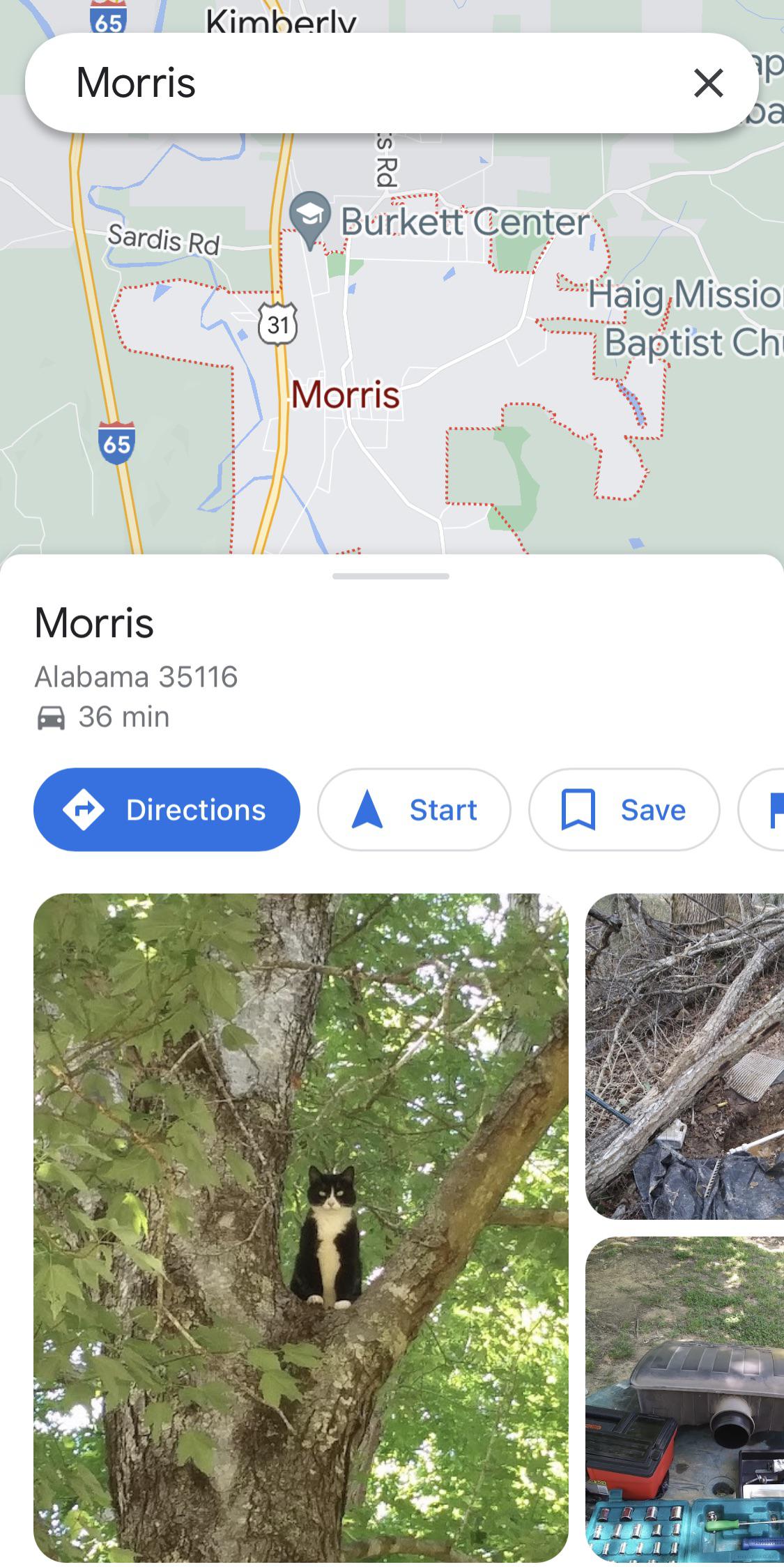 First Impressions | Scrolller