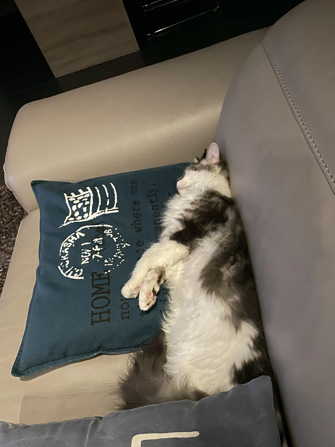 Our boy loves to sleep in the weirdest positions | Scrolller