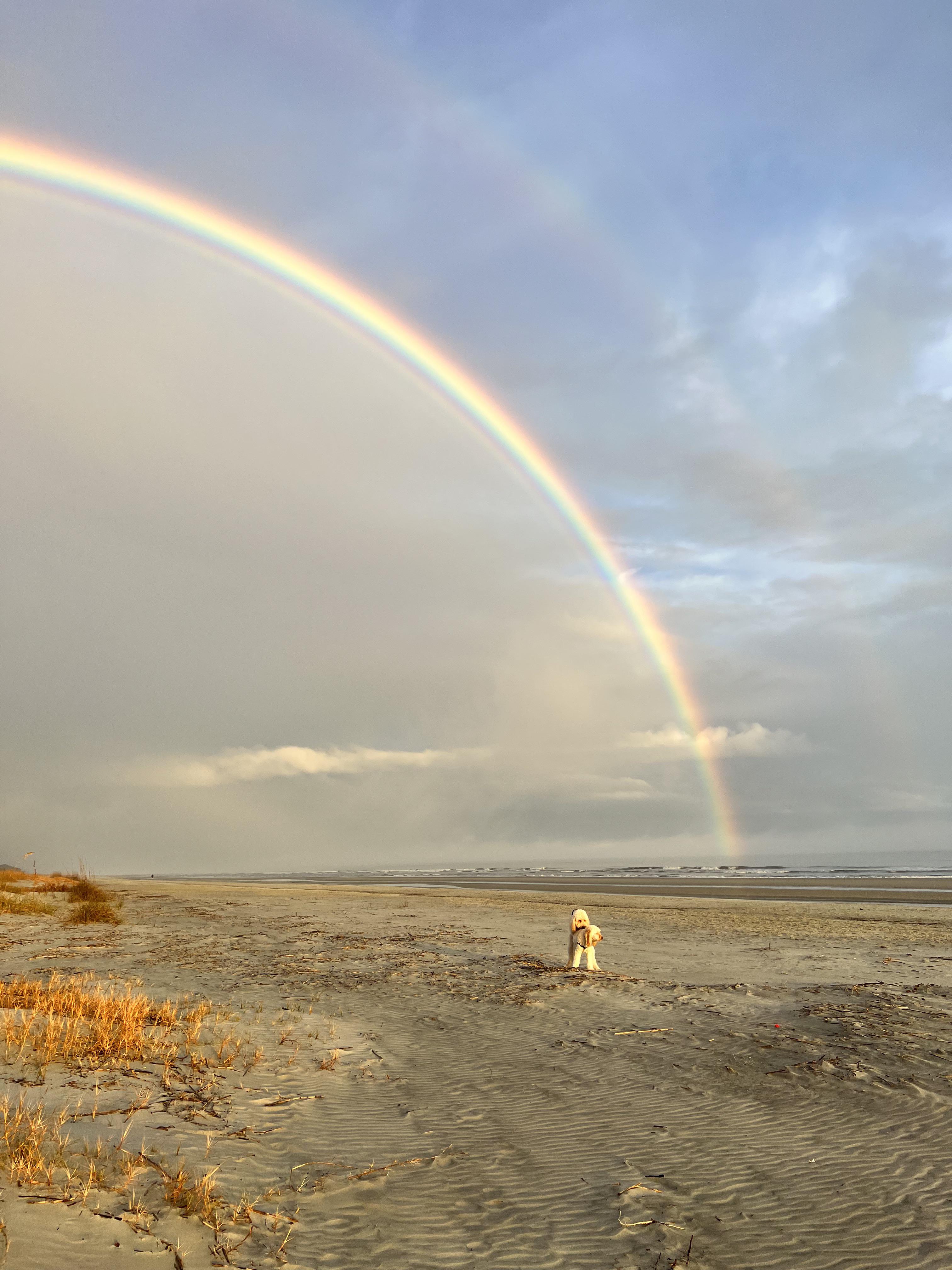 Double rainbow! | Scrolller