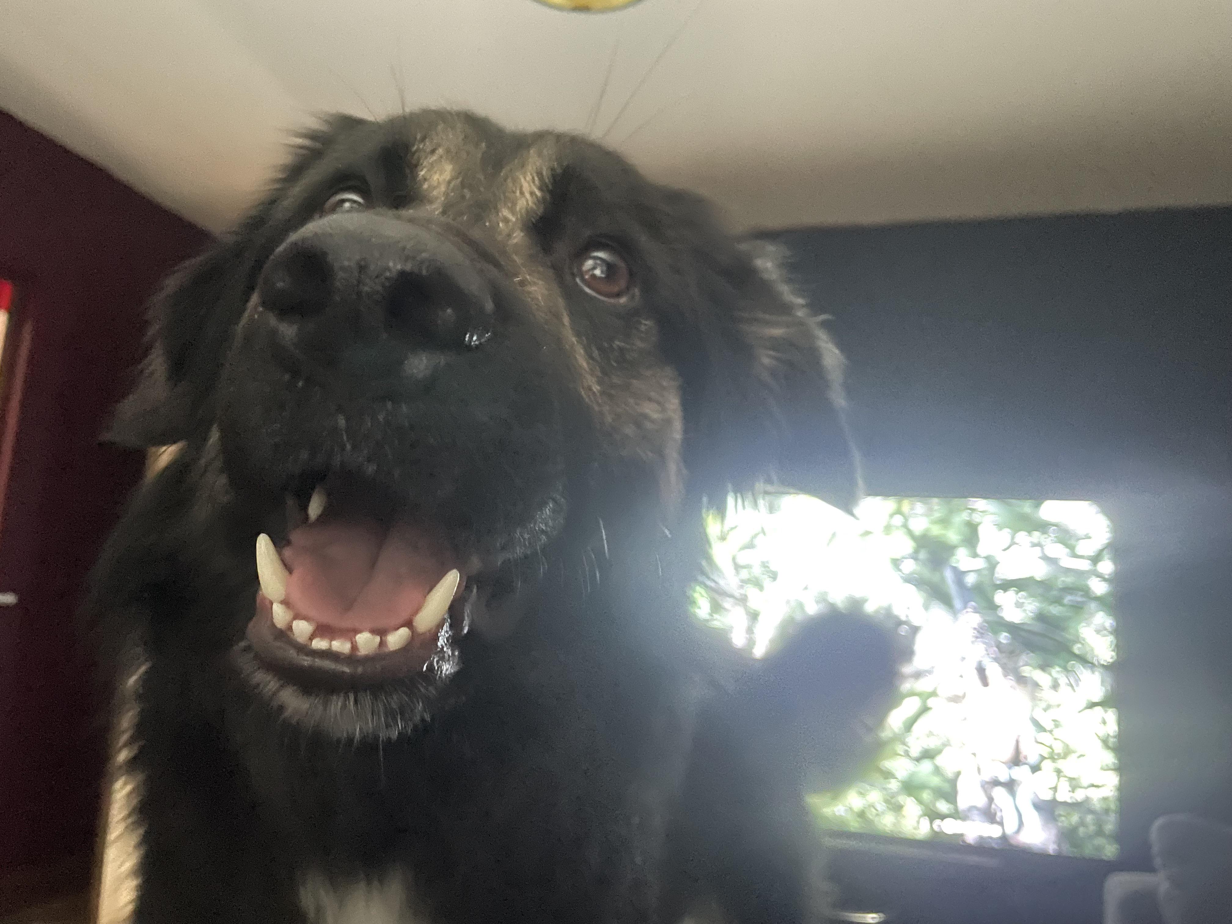 When you’re trying to clutch and this is your view 😂 | Scrolller