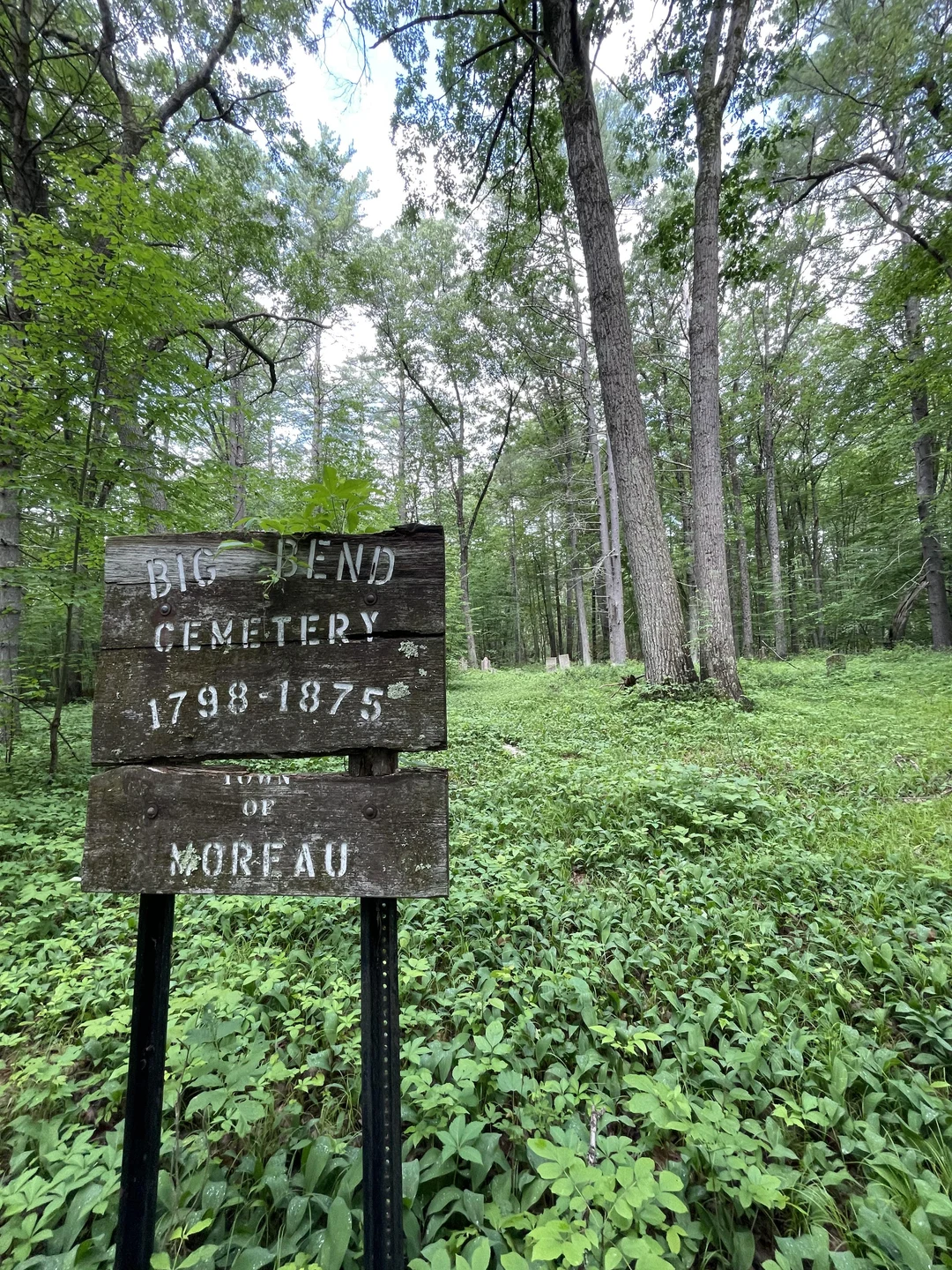 Moreau, New York | Scrolller