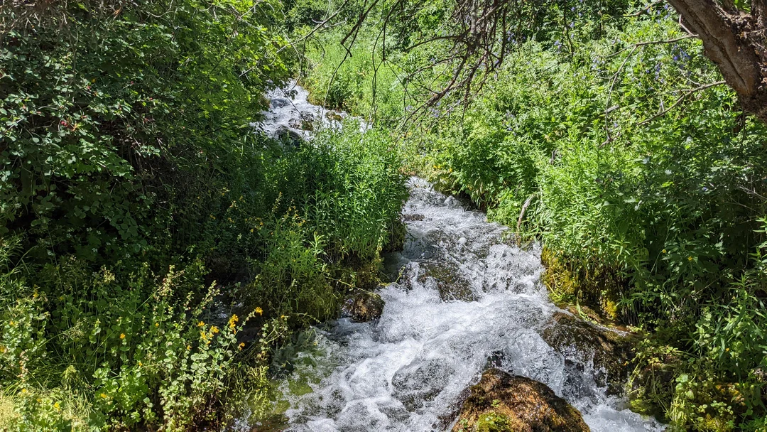 Cascade Springs [4032x2268] [OC] | Scrolller