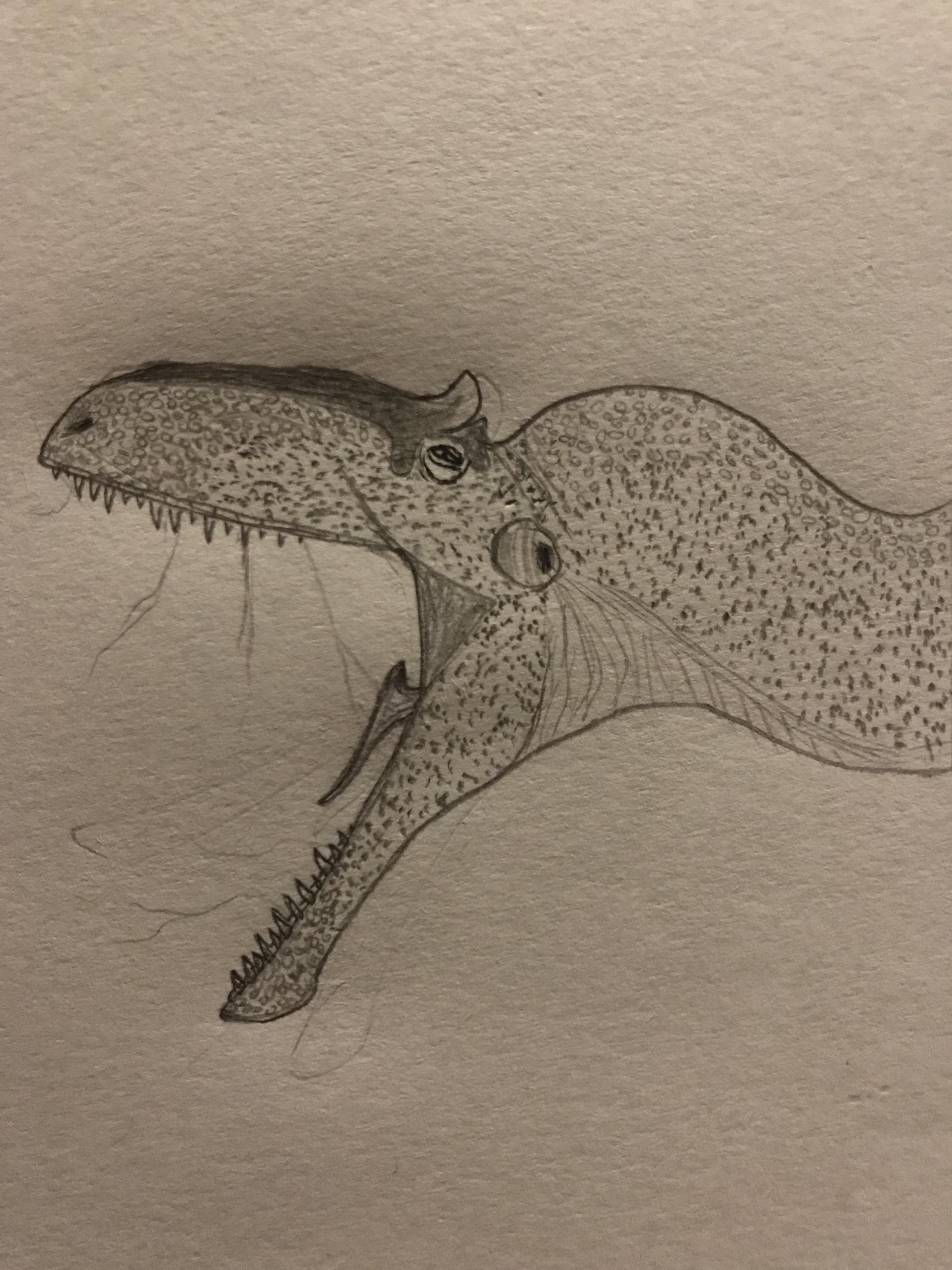 Allosaurus head | Scrolller