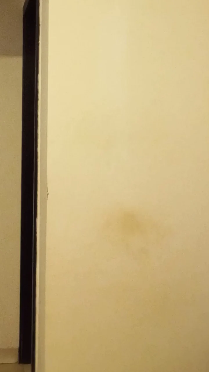 Dopamine... not even once. | Scrolller