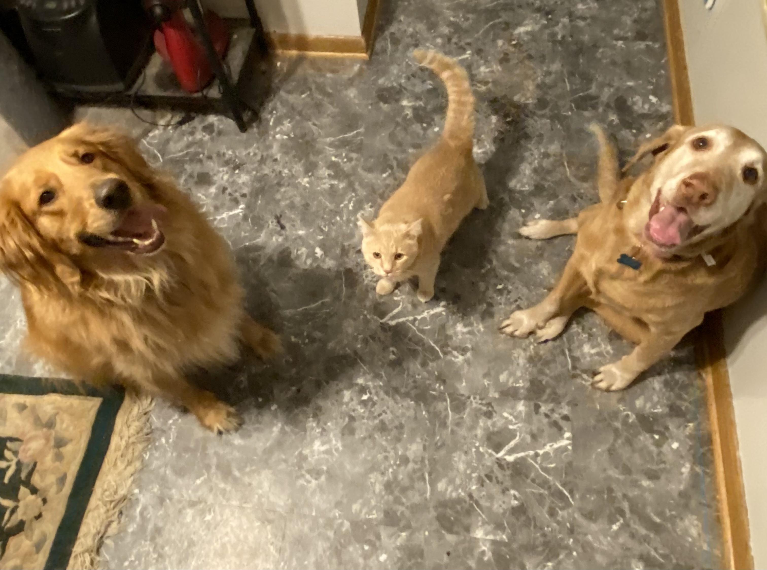 Goober patrol! | Scrolller