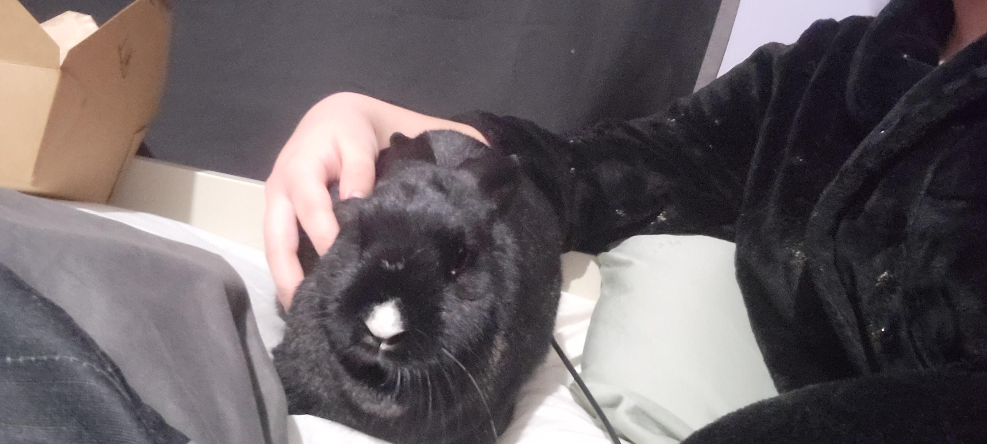 Going into 2025 with my creature, happy new years from hopper | Scrolller