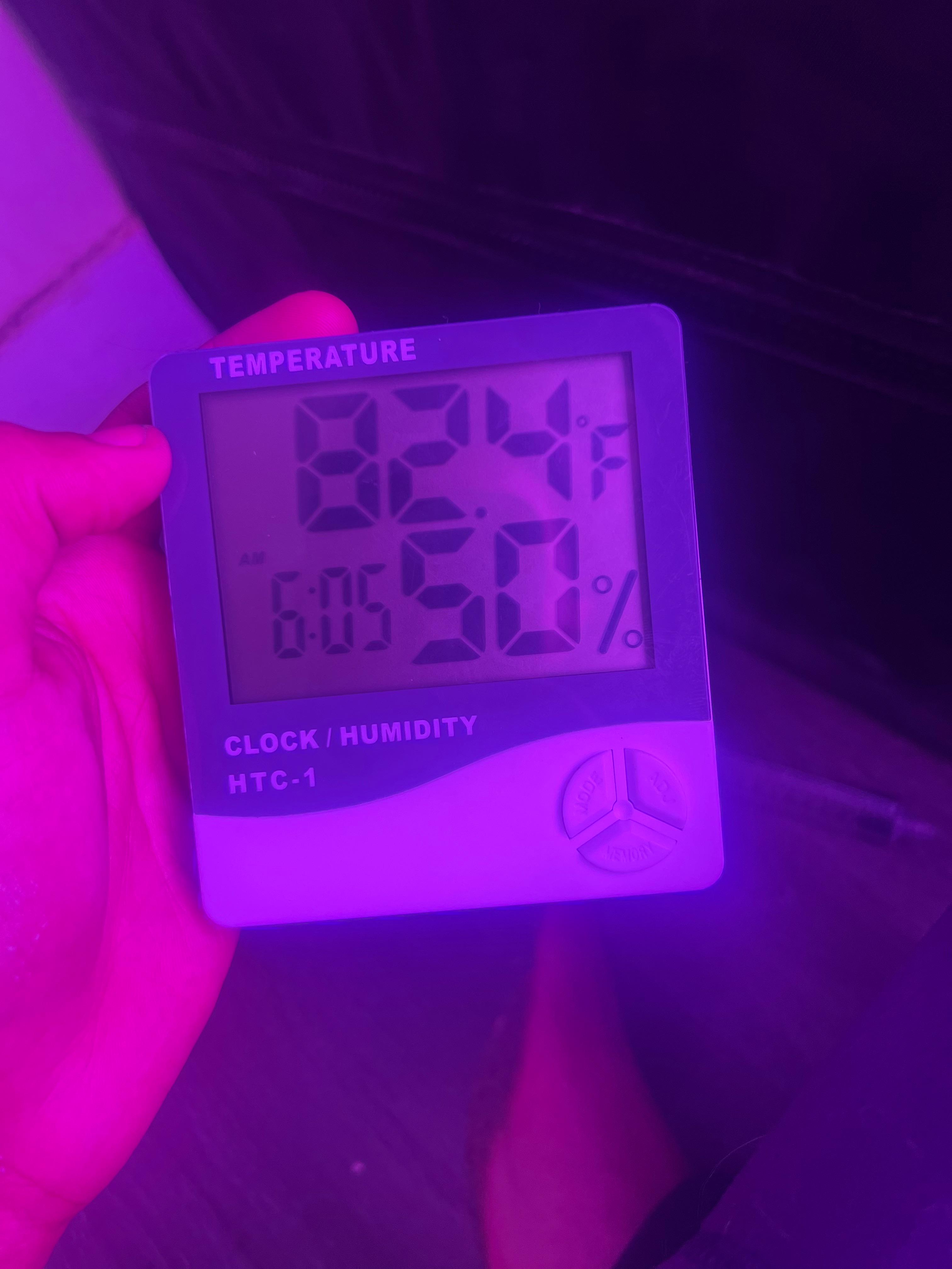 First Time Growing | Scrolller