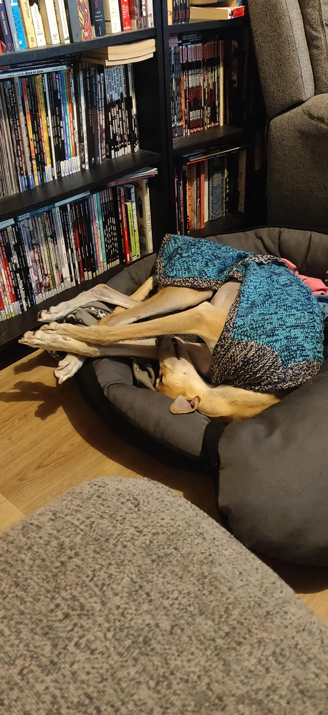 maximum sleeping comfort achieved | Scrolller