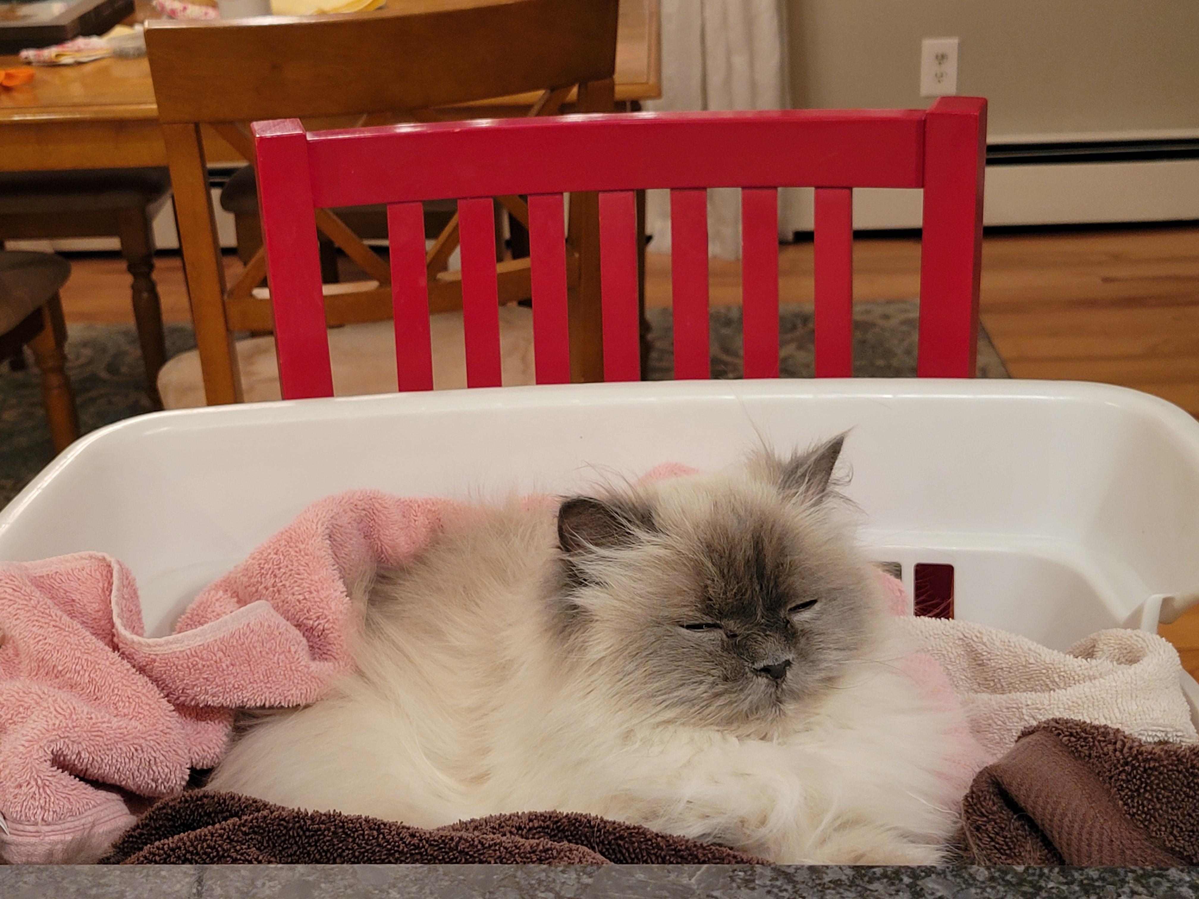 Warm towel trap | Scrolller