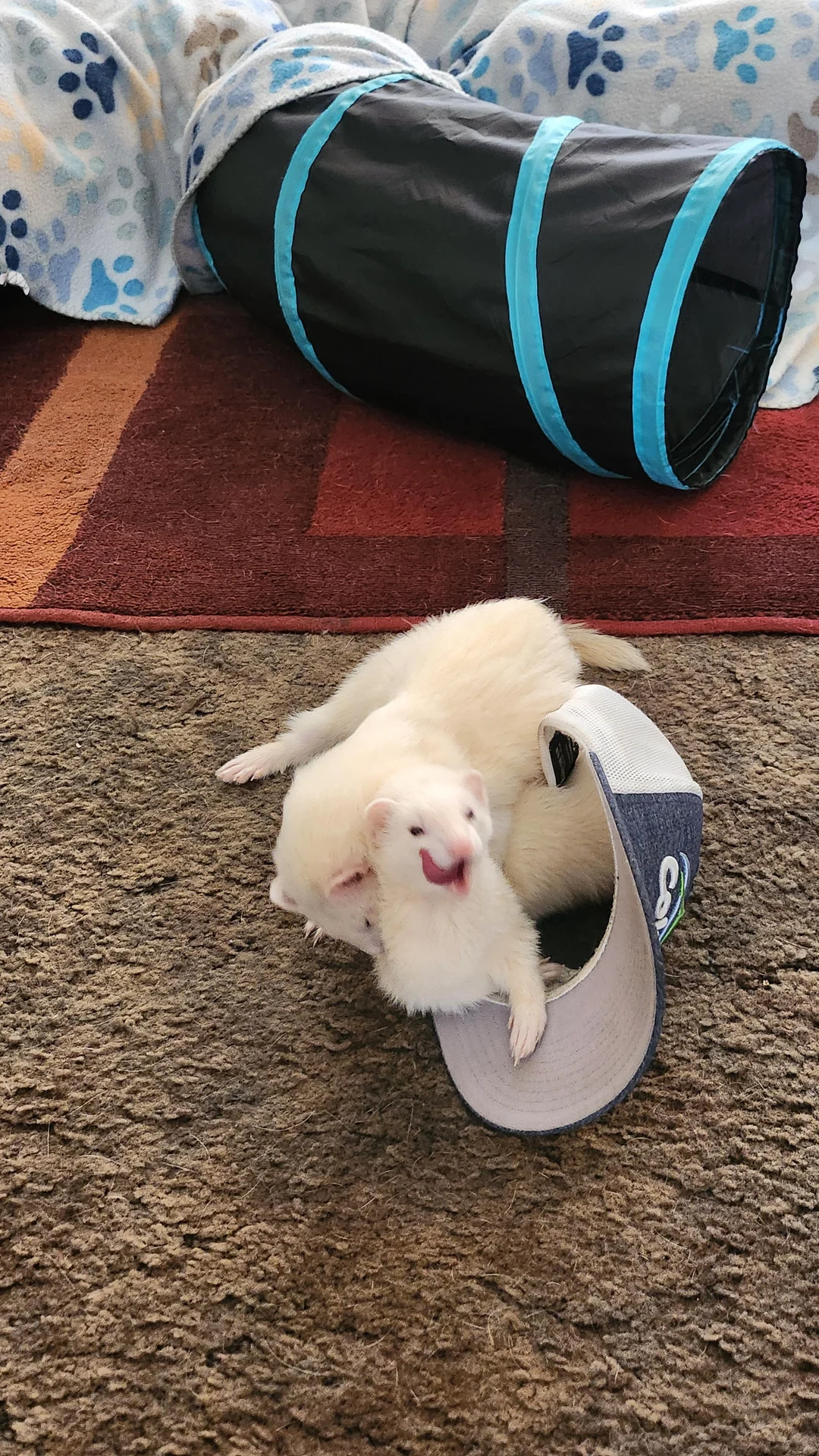 Perfect camera timing | Scrolller