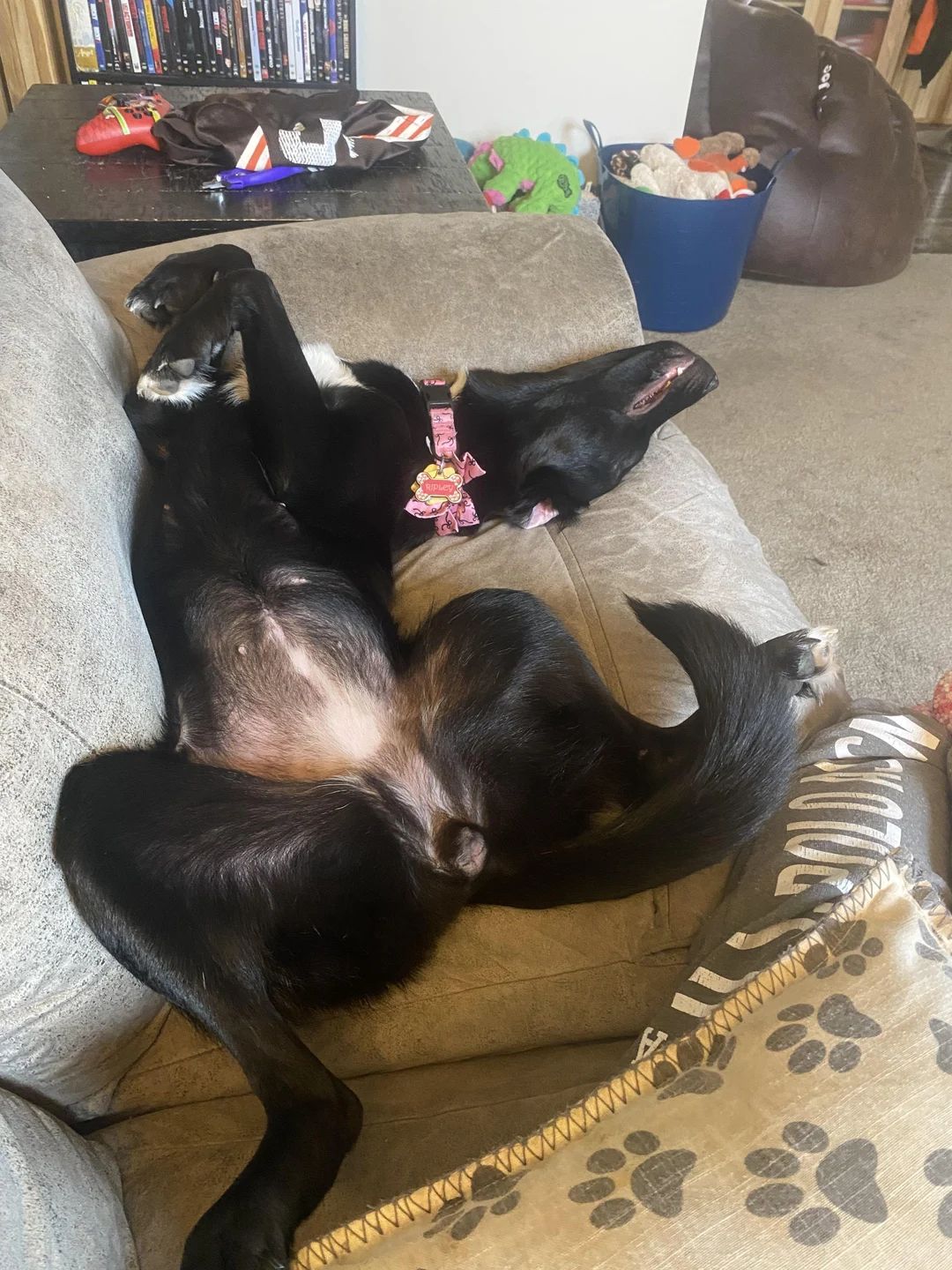 How is this comfortable? | Scrolller