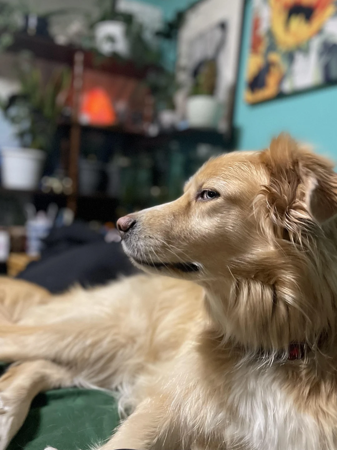 Ace is a very suspicious of many things … 👀 | Scrolller