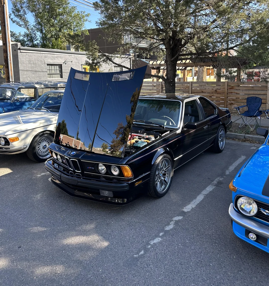 BMW E24 M6 [2959x3152] | Scrolller