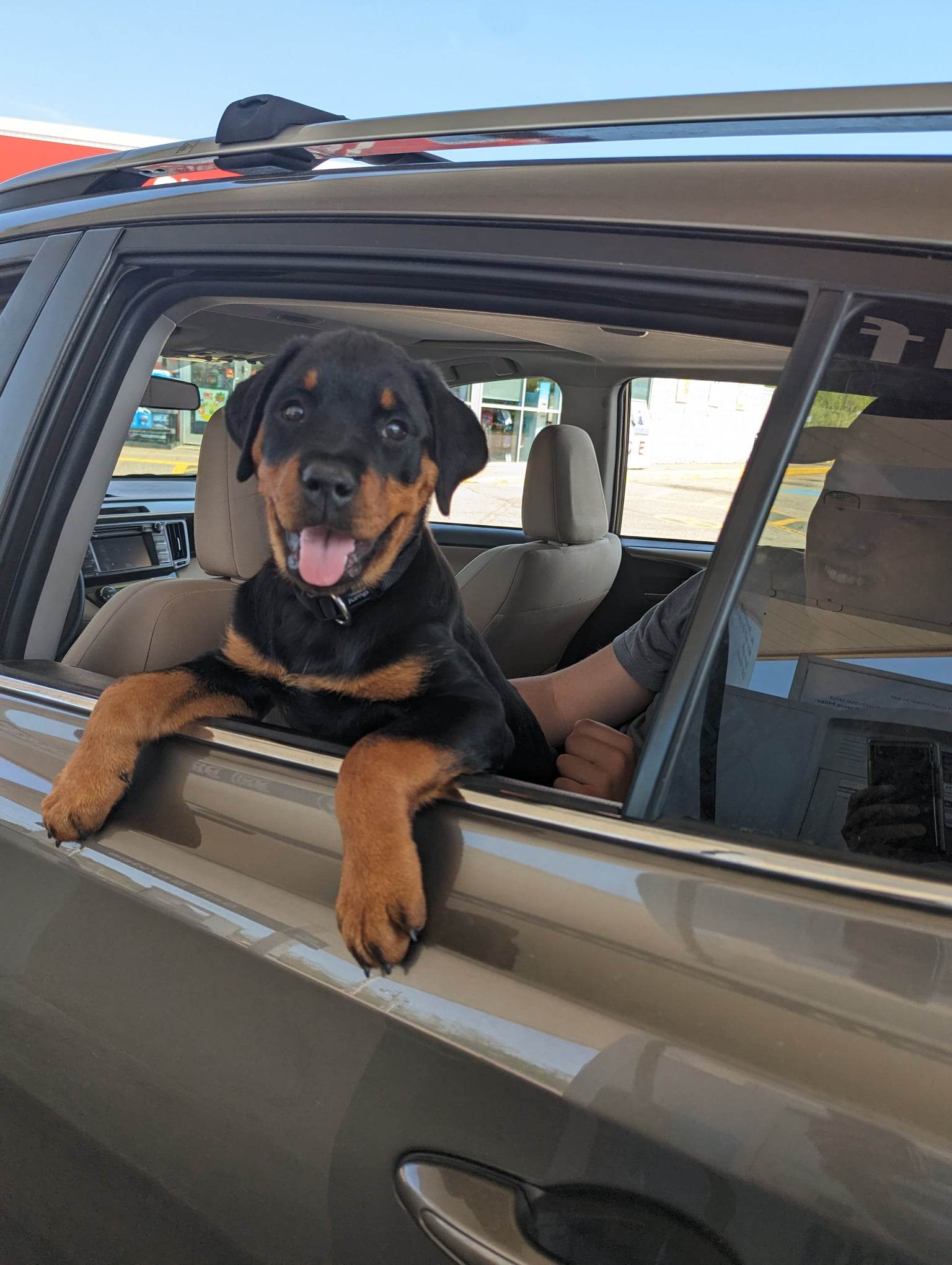 Samantha first beach outing | Scrolller