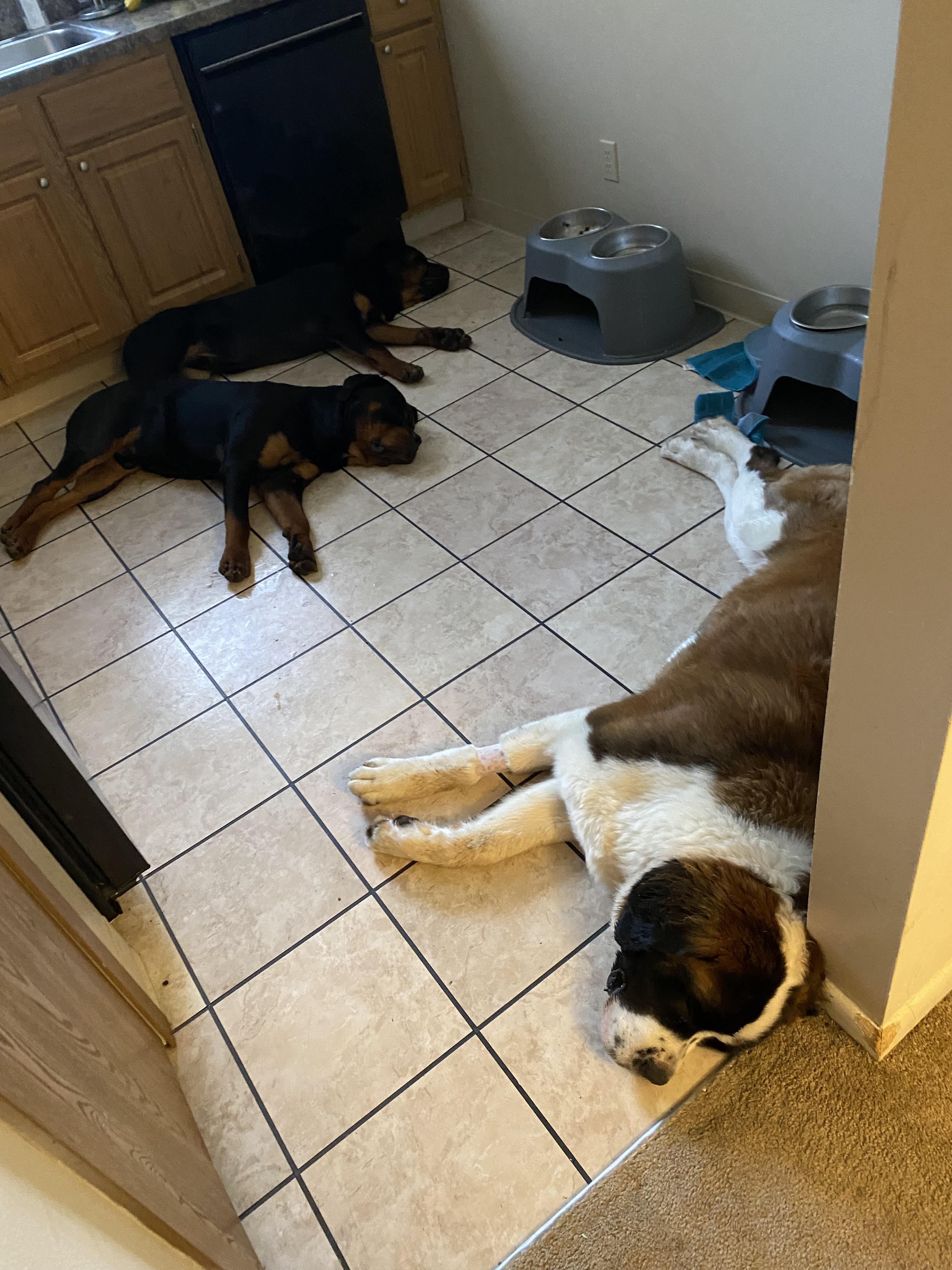 Another successful hike in the woods | Scrolller