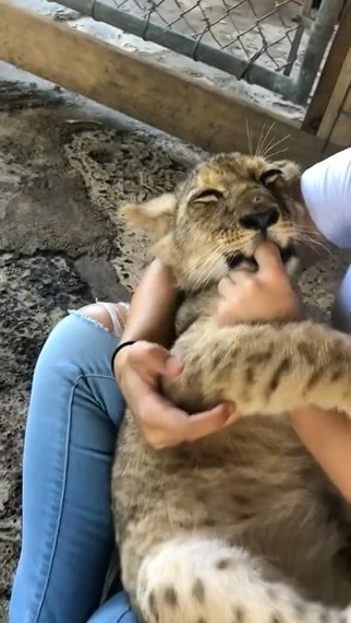 cuteness overload | Scrolller