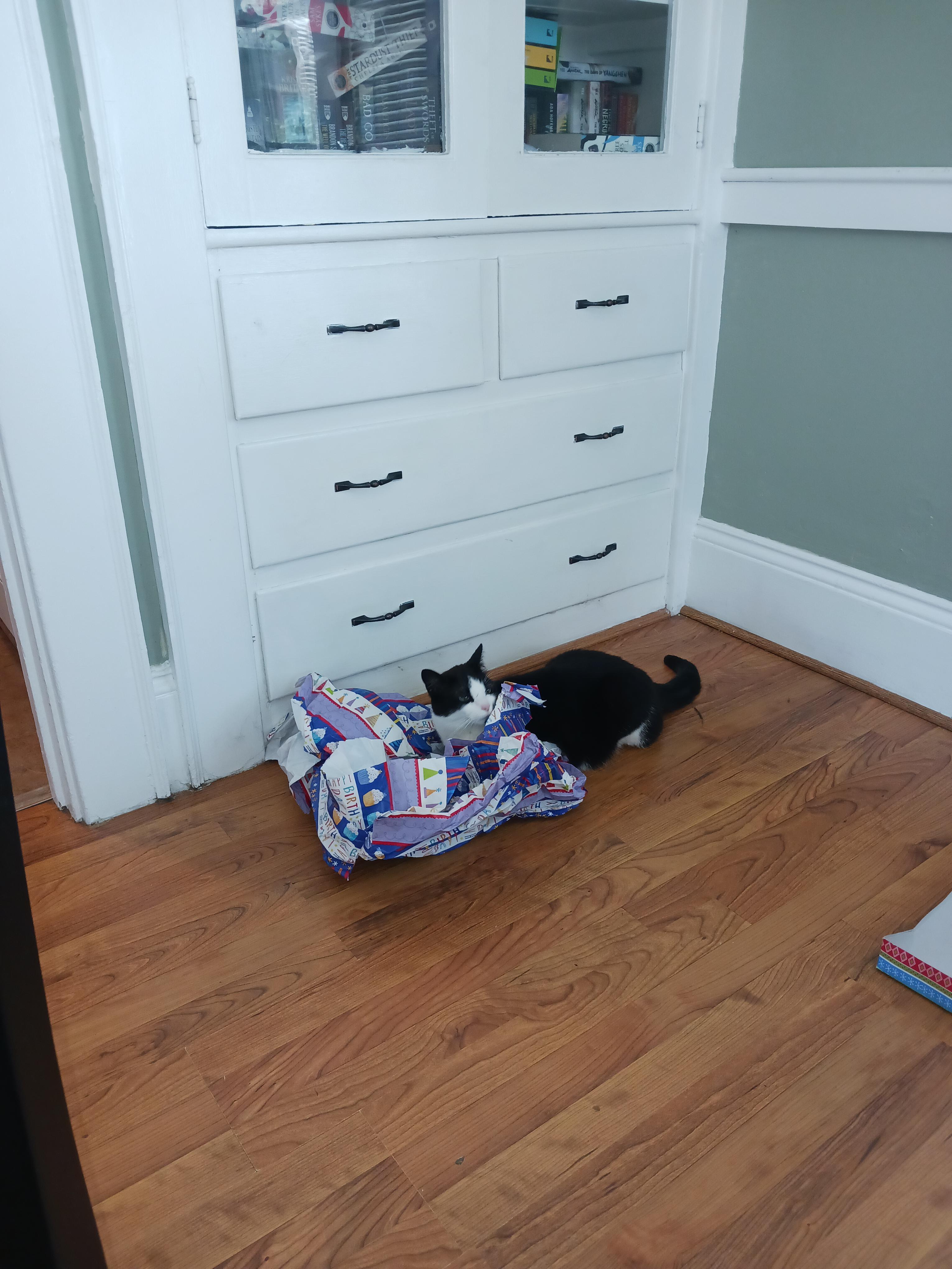 Trapping paper | Scrolller