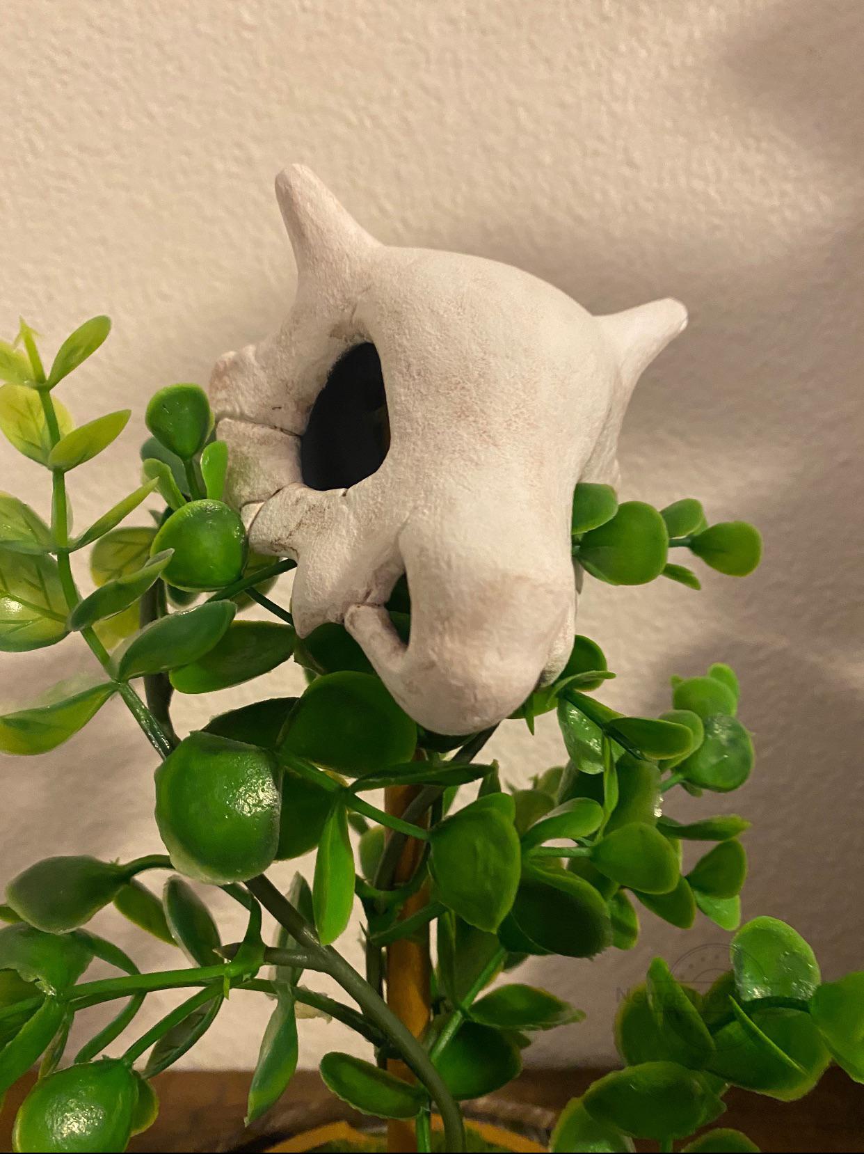 “Marowak’s final resting place”Cubone skull terrarium [OC] | Scrolller