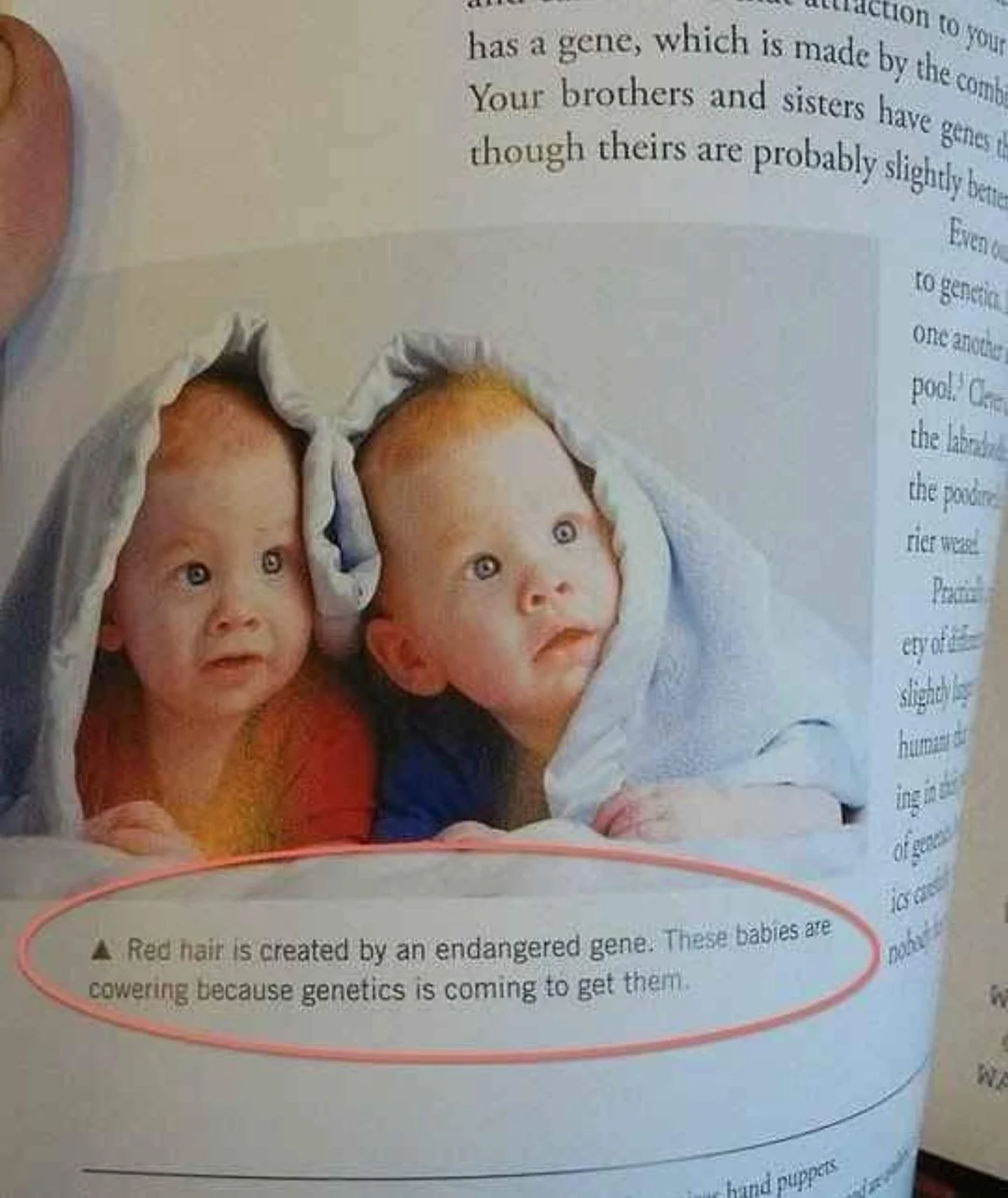 Womp womp | Scrolller