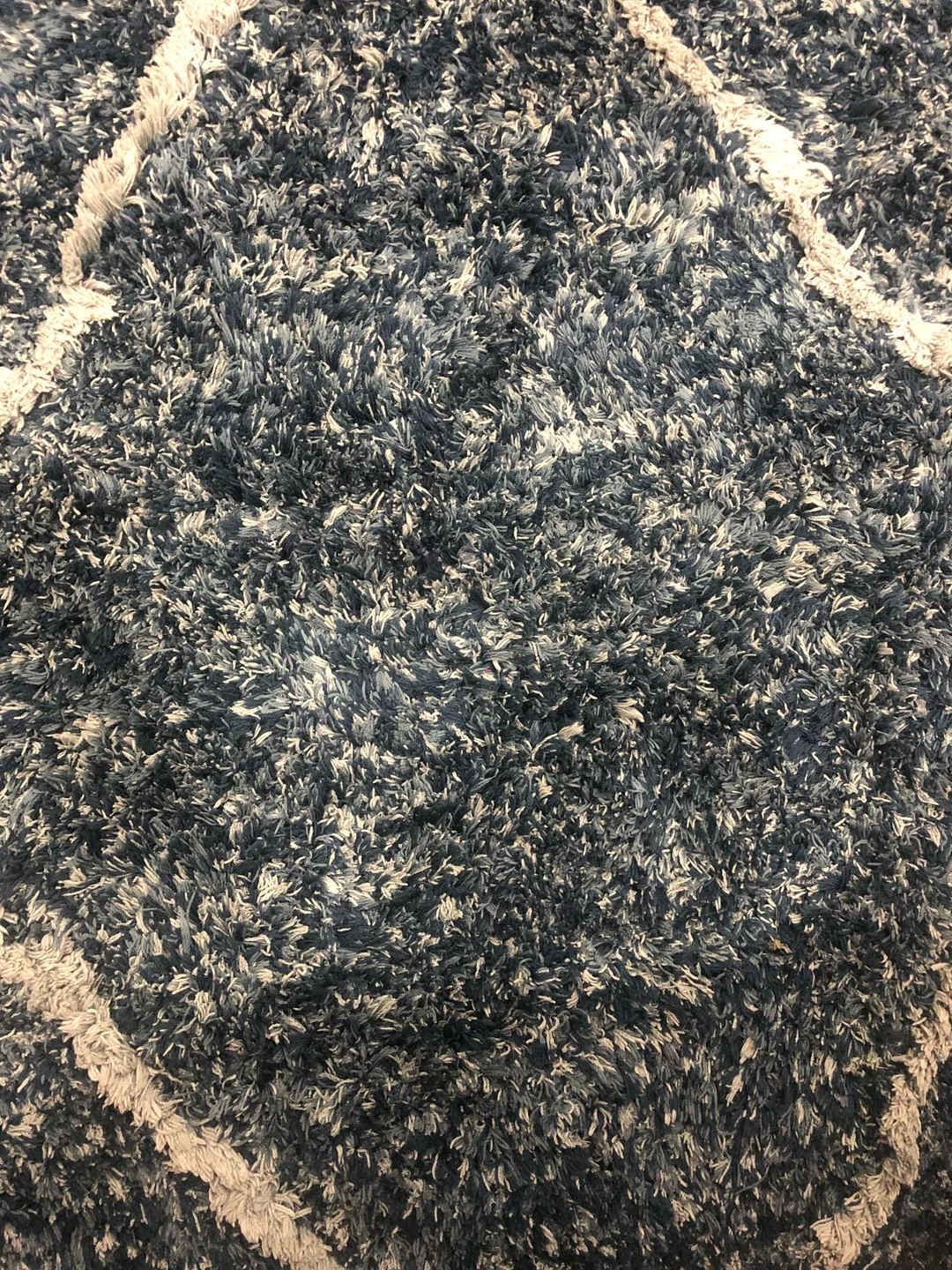 Blue carpet | Scrolller