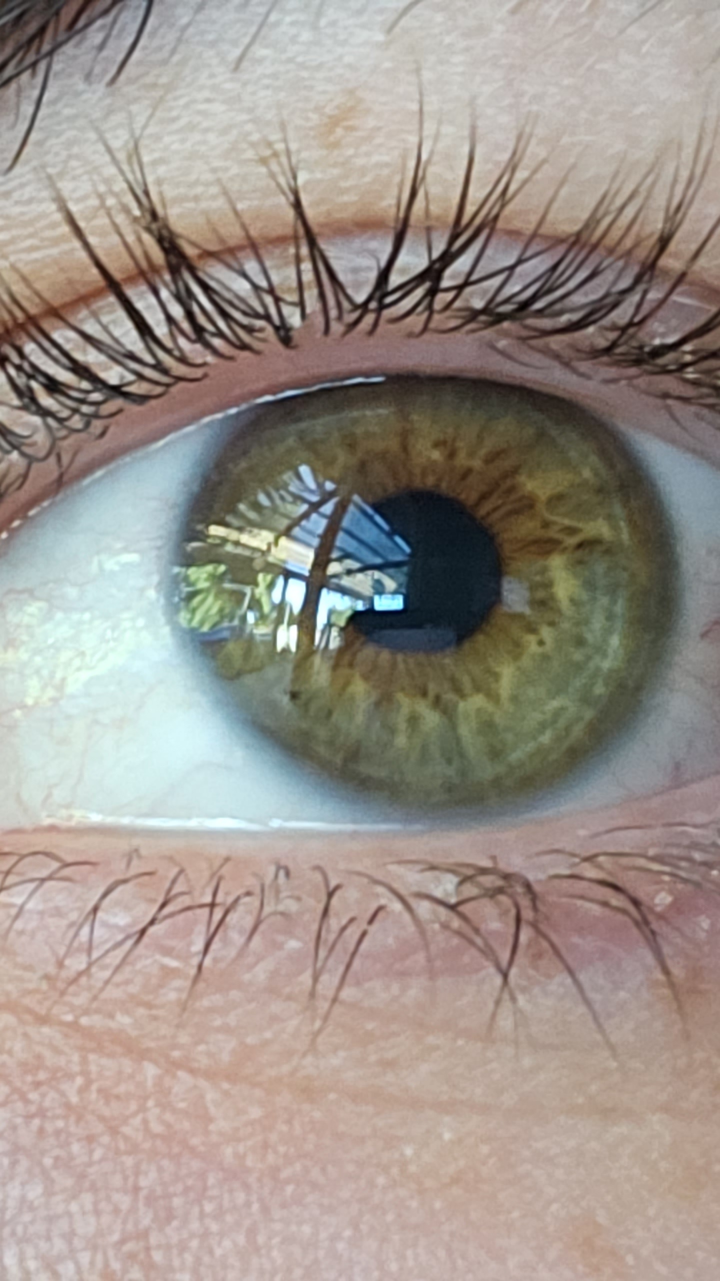 Hazel? What do you think | Scrolller