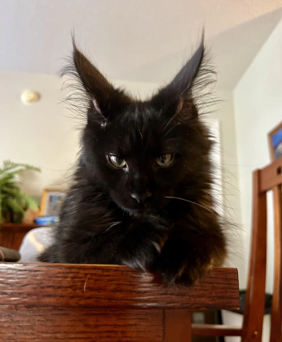 Plotting… | Scrolller