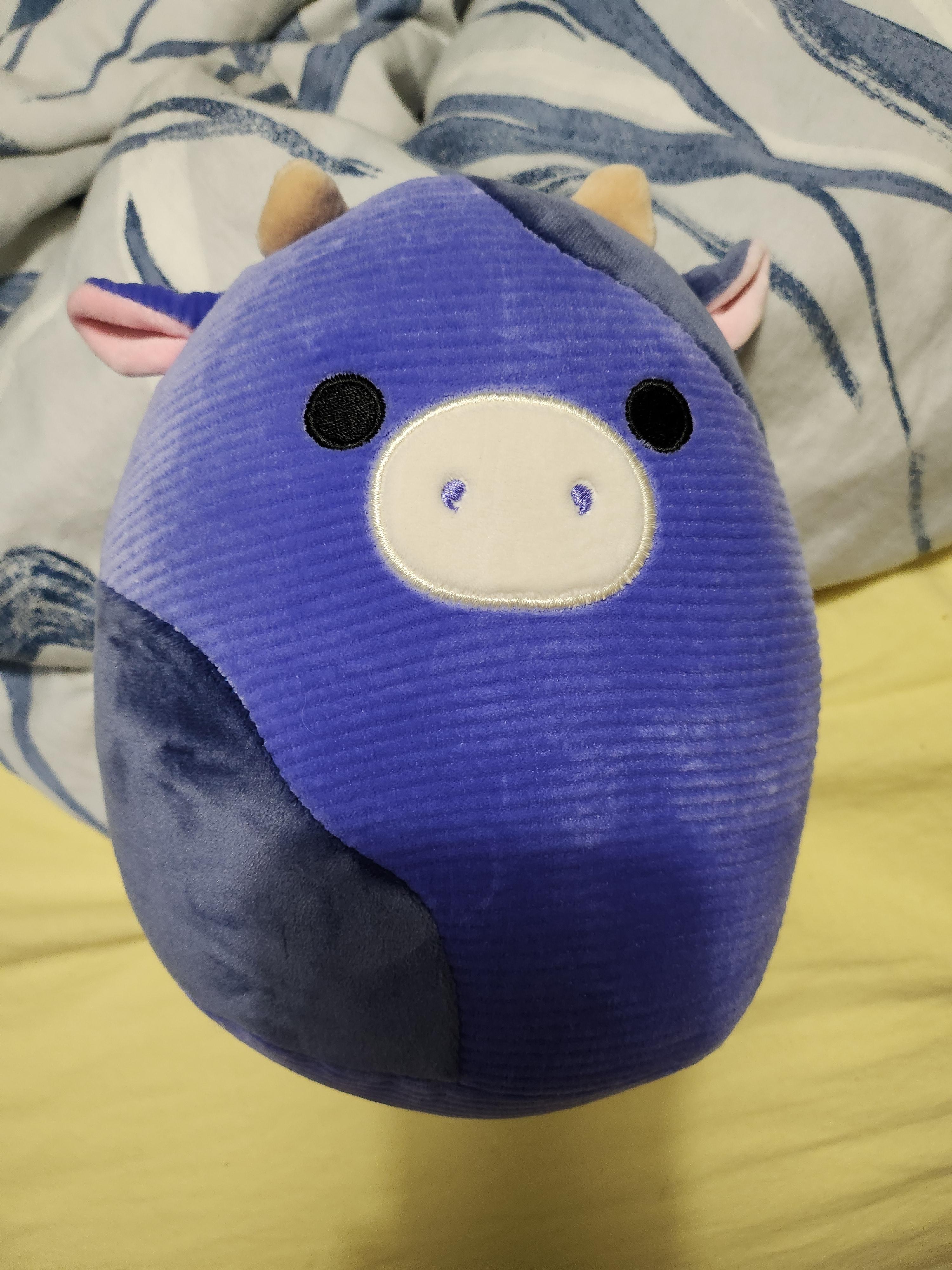 Discover more like Squishmallow: Squisharoys Ingred has joined my squad ...