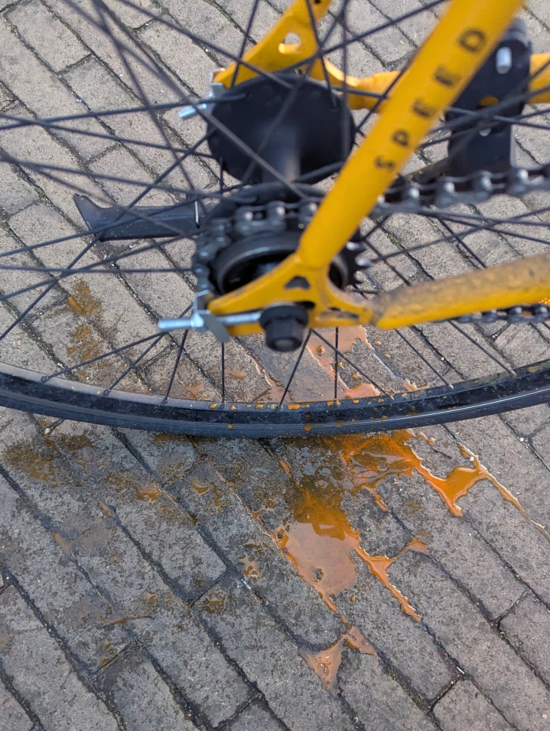 What is this liquid coming out of my bike? | Scrolller