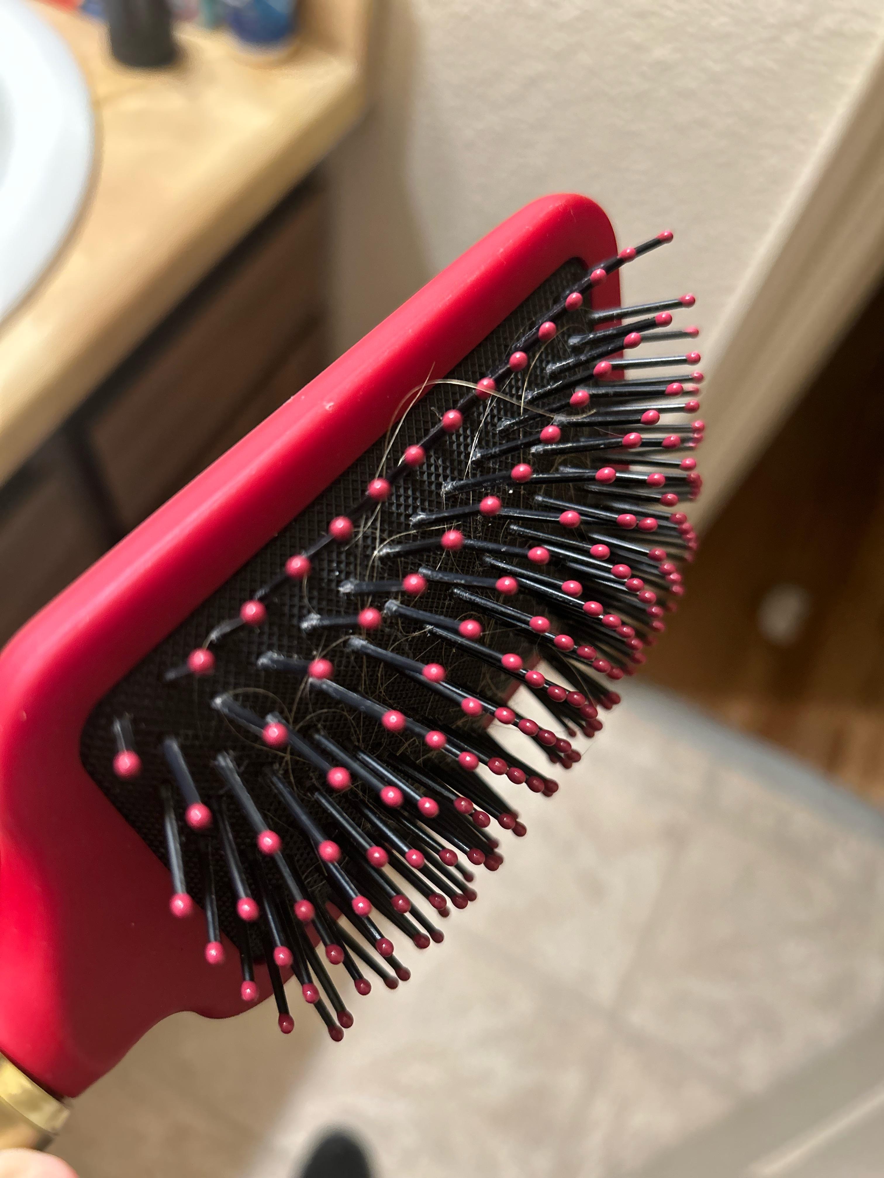 Dusty brush? | Scrolller