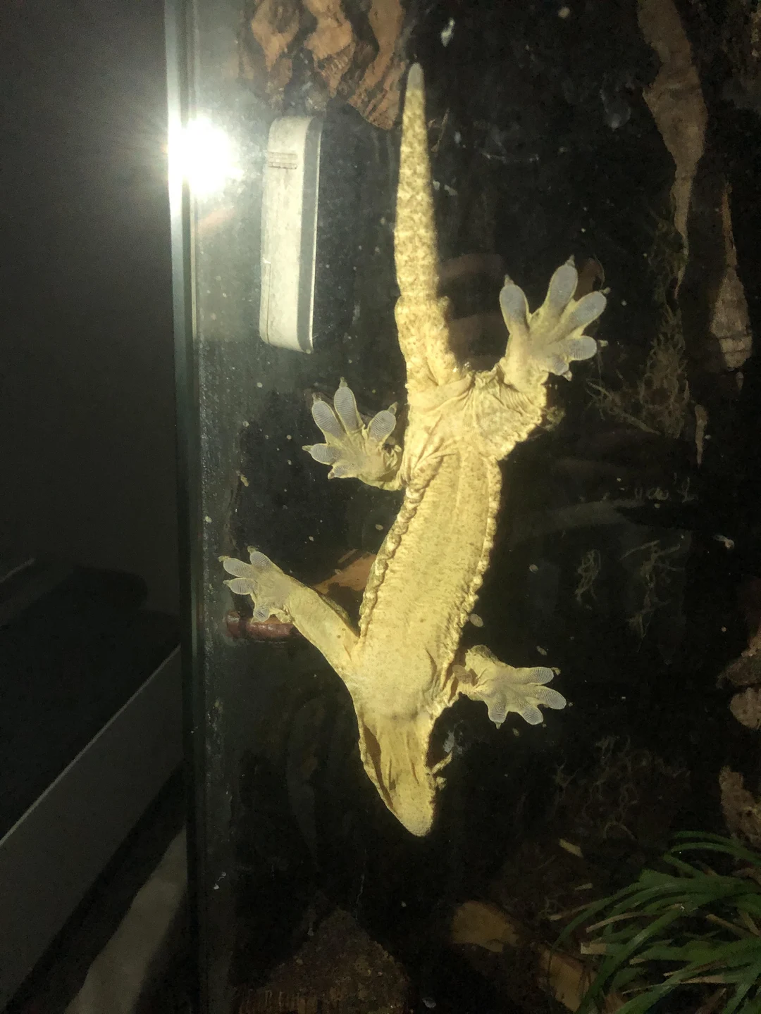 Master of Infiltration | Scrolller