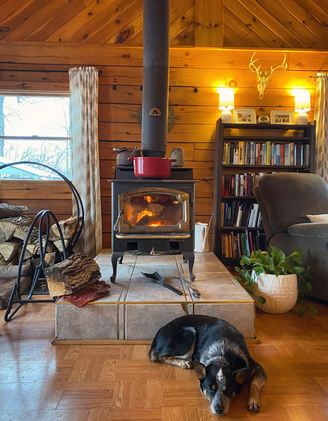 Ruff life over here… | Scrolller