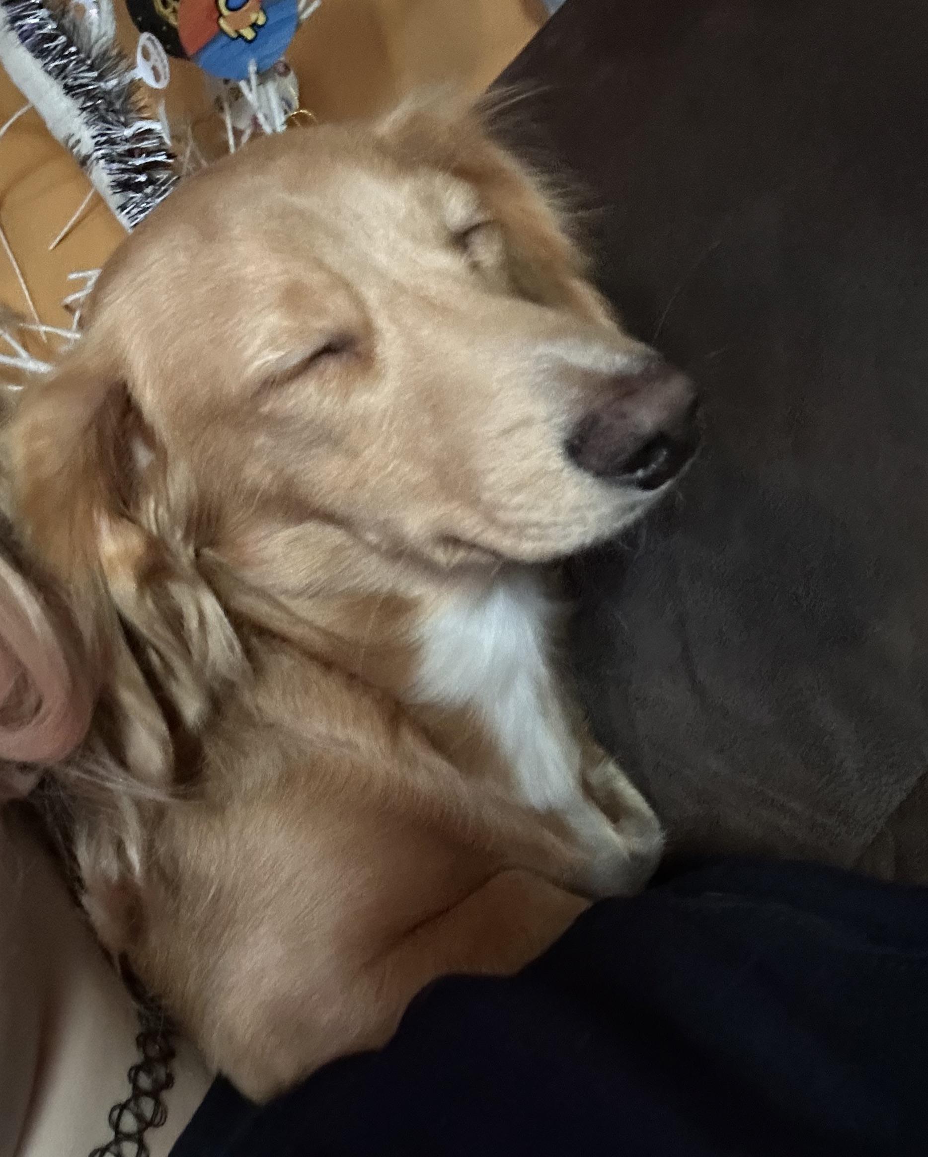 Potty training.. | Scrolller