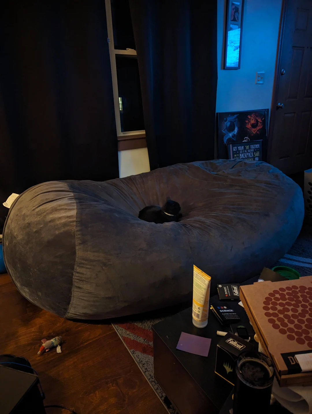 Gus thought the bean bag chair was his. | Scrolller