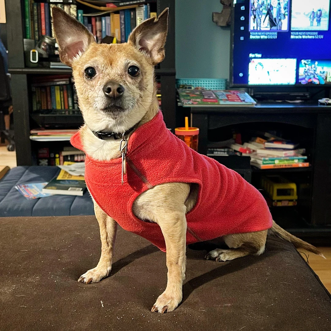 Superhero pose | Scrolller