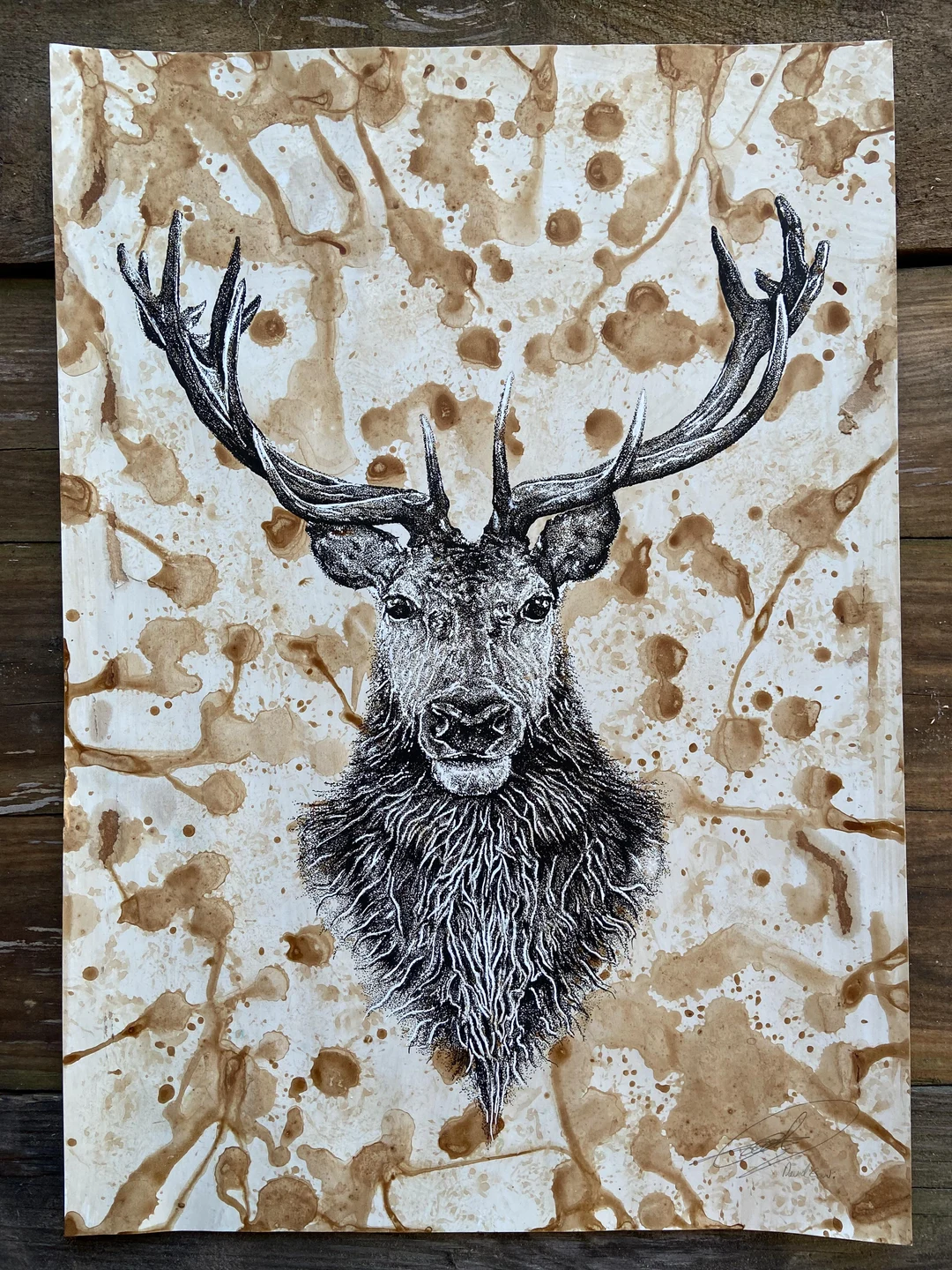 Proud stag | Scrolller