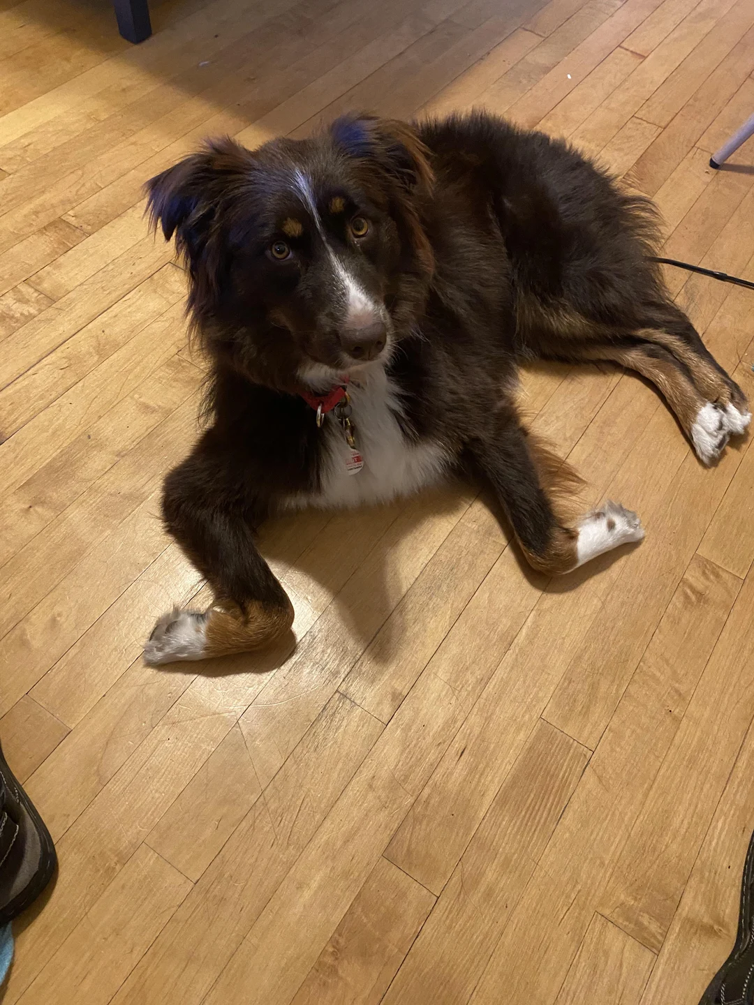 How is this comfortable? | Scrolller