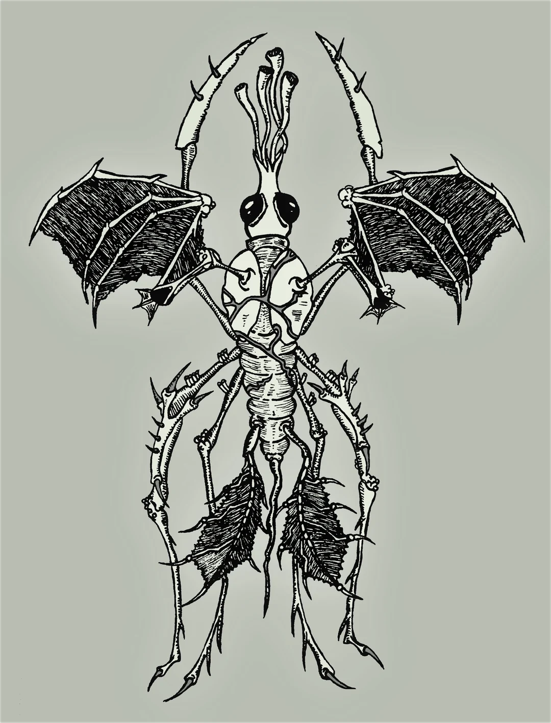 Alien insect | Scrolller