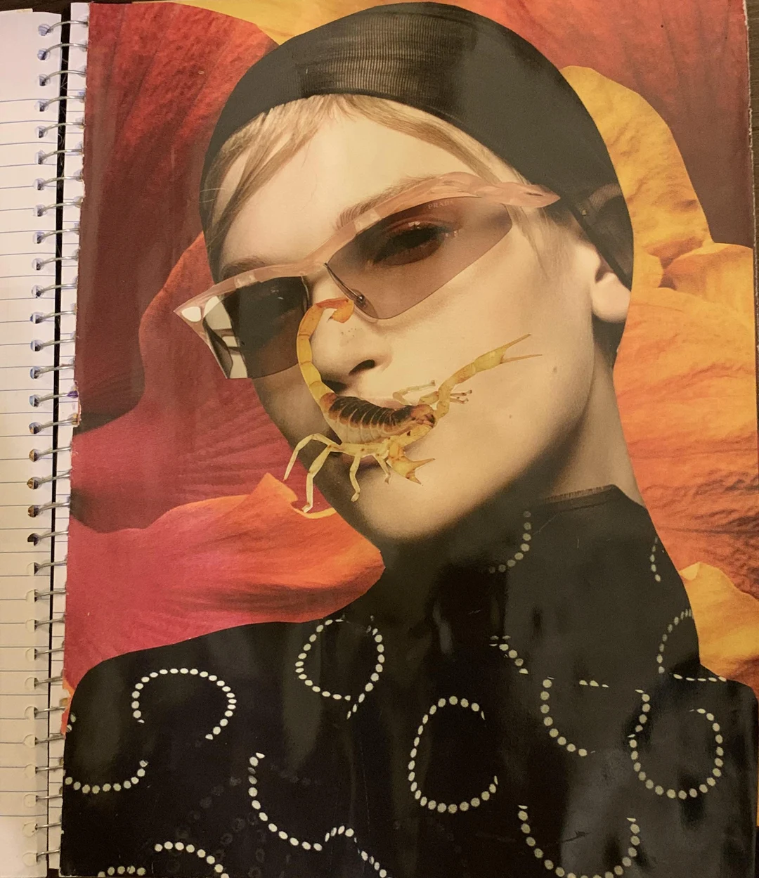 🦂 [analog] | Scrolller