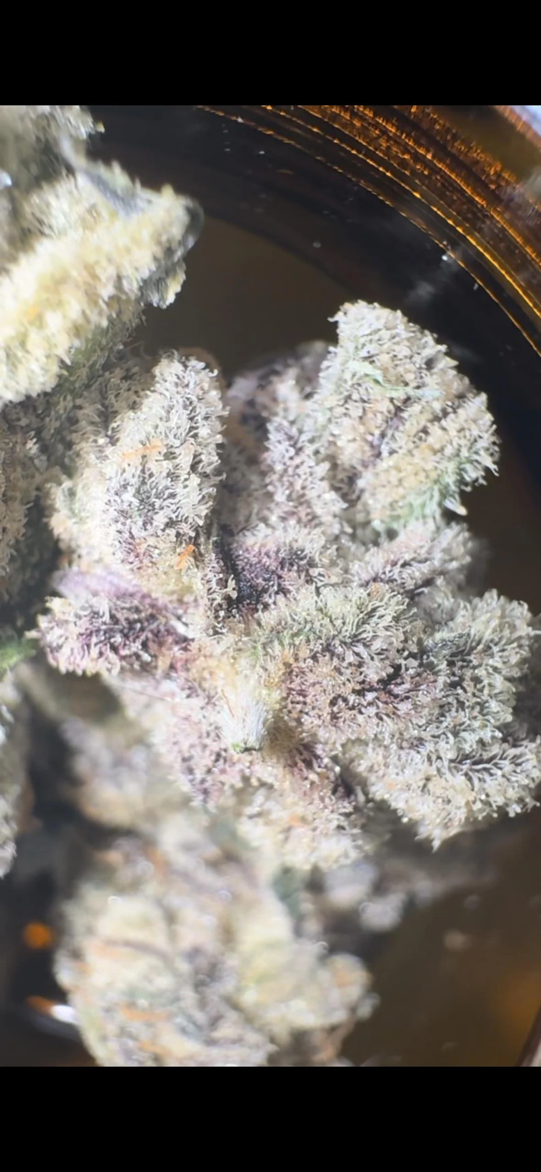 Cherry Pie x Z | Scrolller