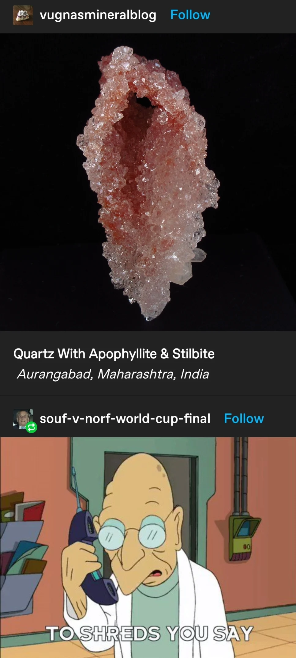 Pink and Pointy | Scrolller