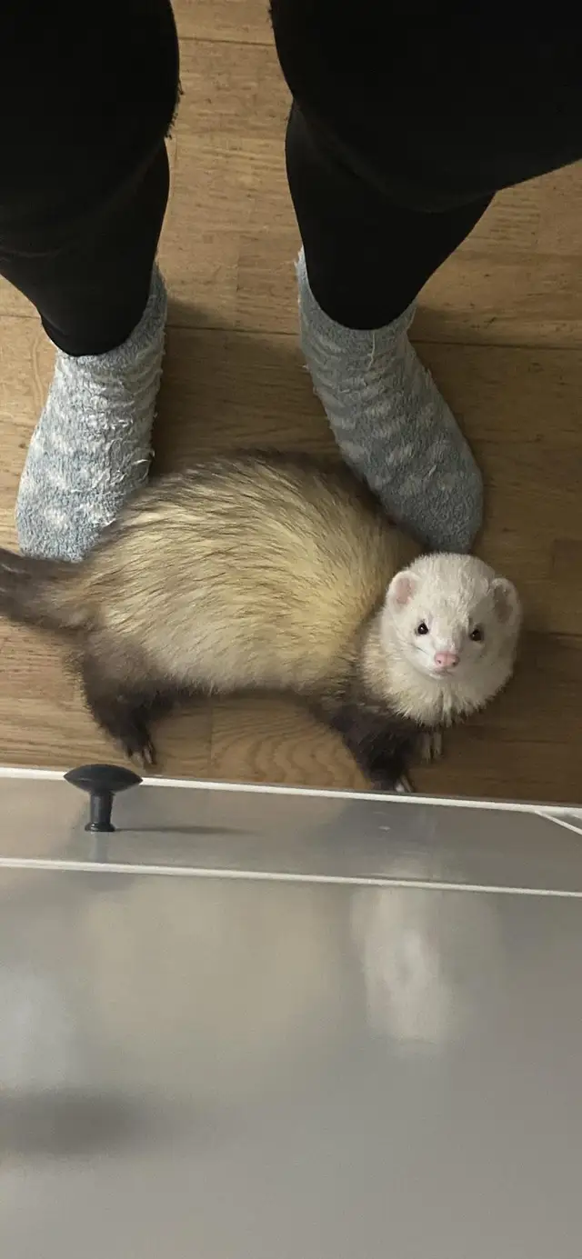 Like butter wouldn’t melt…. | Scrolller