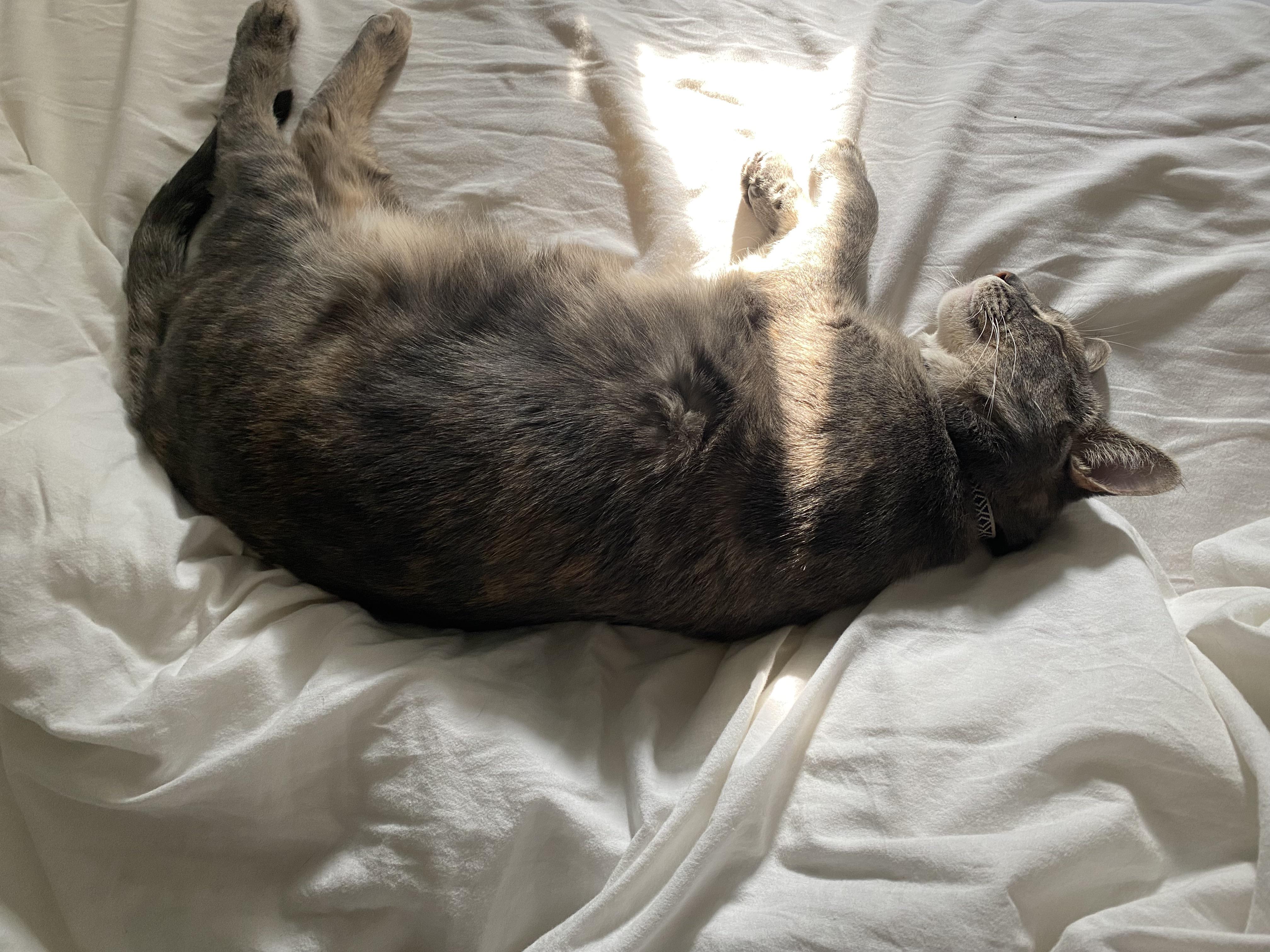 My little sunbeam | Scrolller