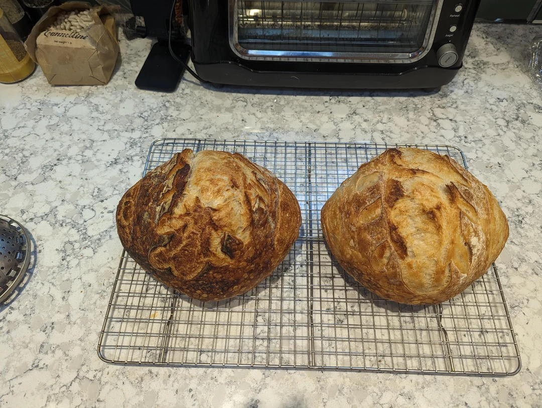 First Sourdough Loaves! | Scrolller