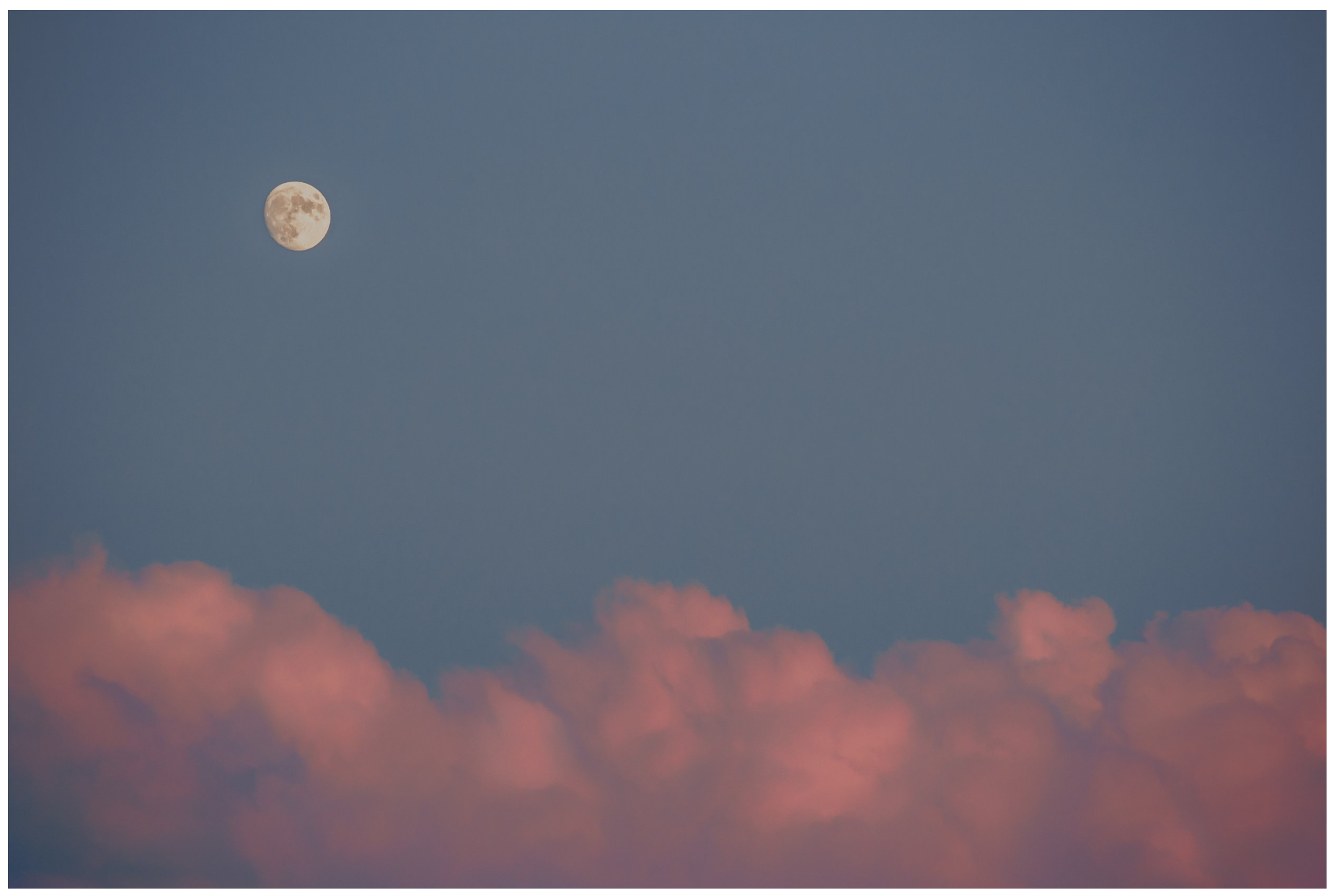 pastel dreams | Scrolller